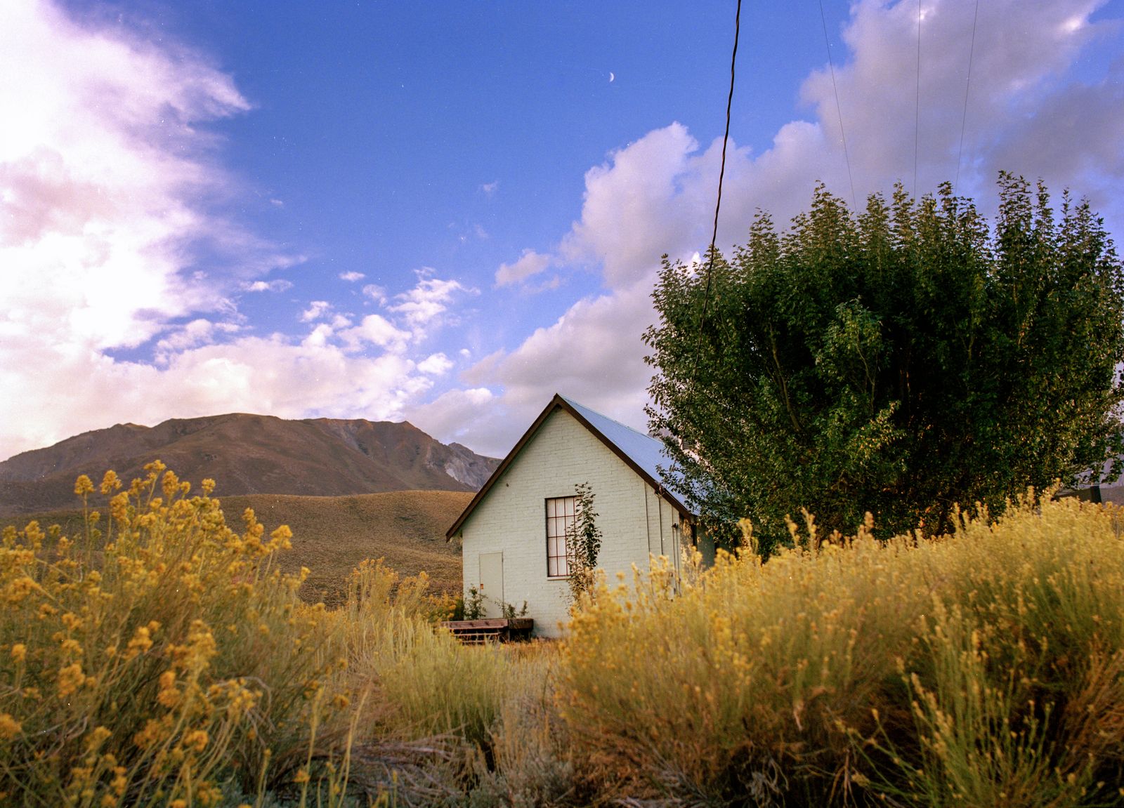 New Promise Land Inc. - PhMuseum