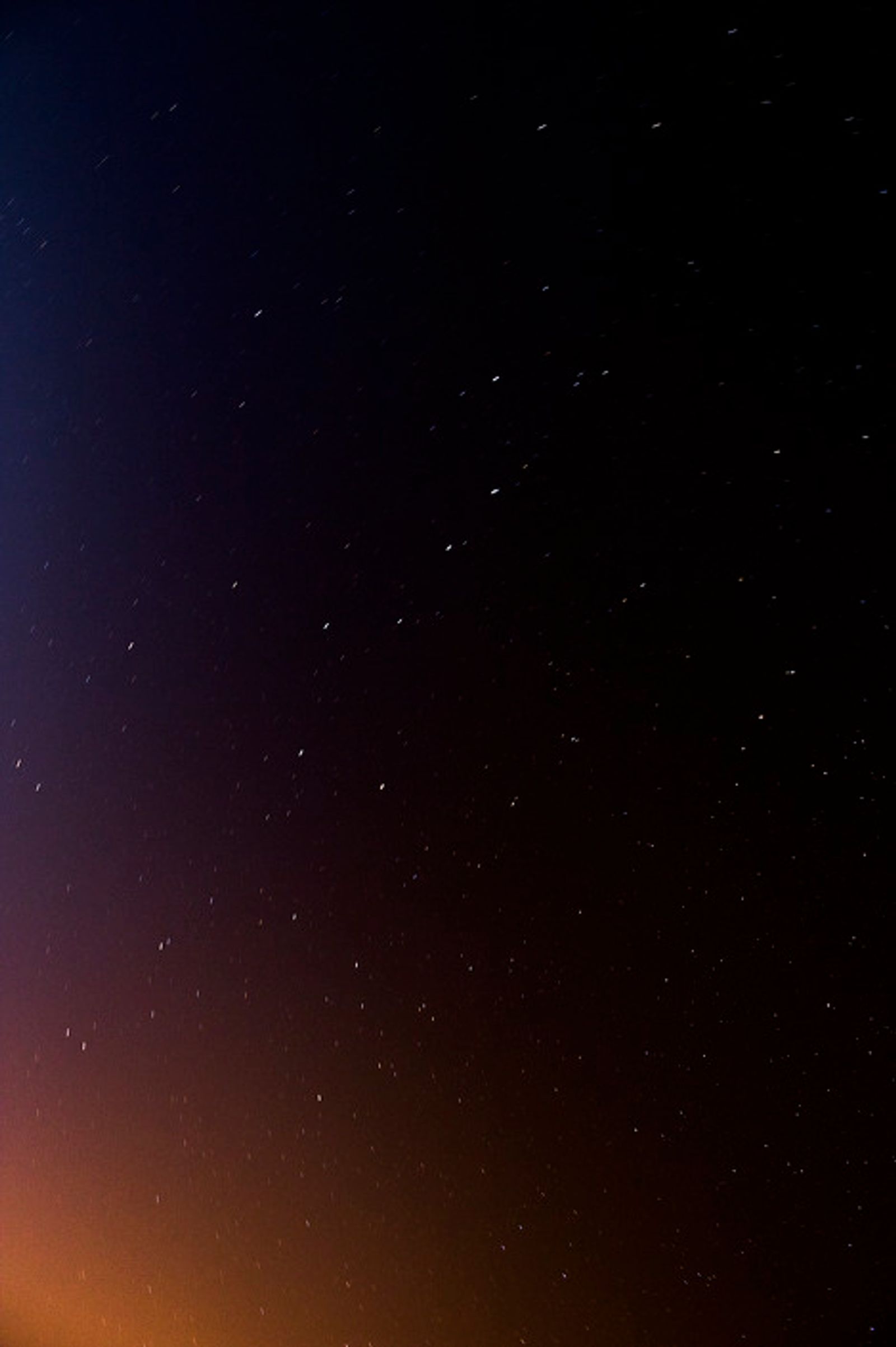 Sleeping Forest - PhMuseum