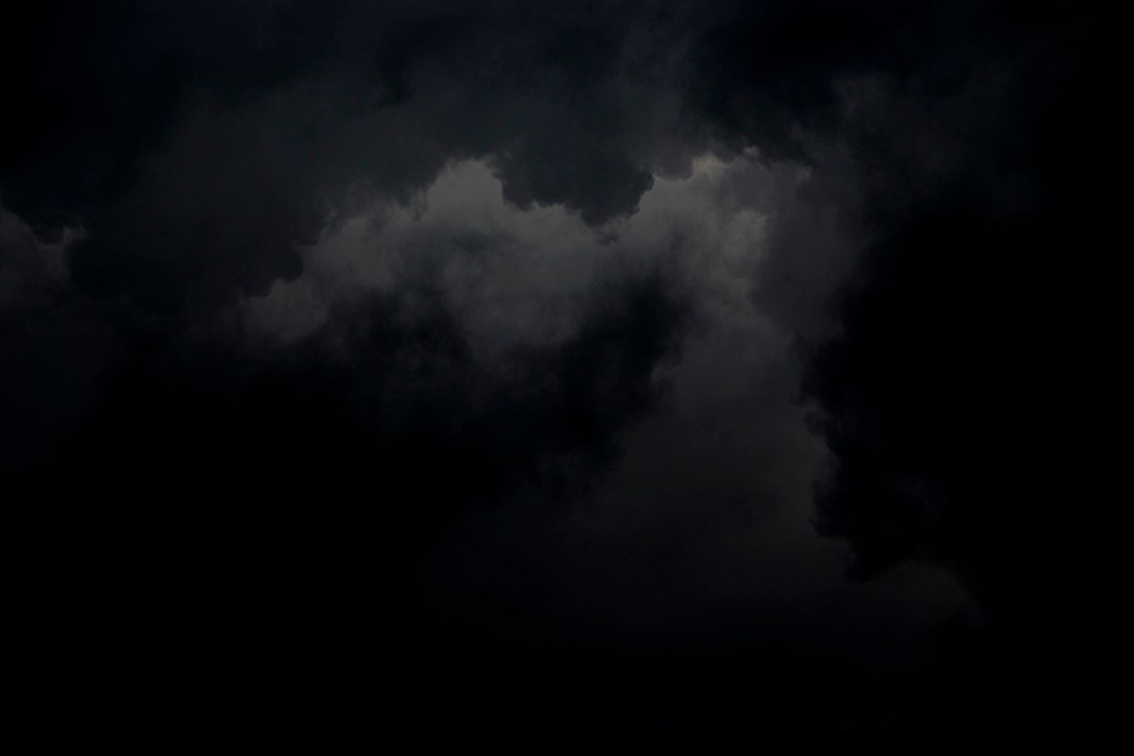 Sleeping Forest - PhMuseum