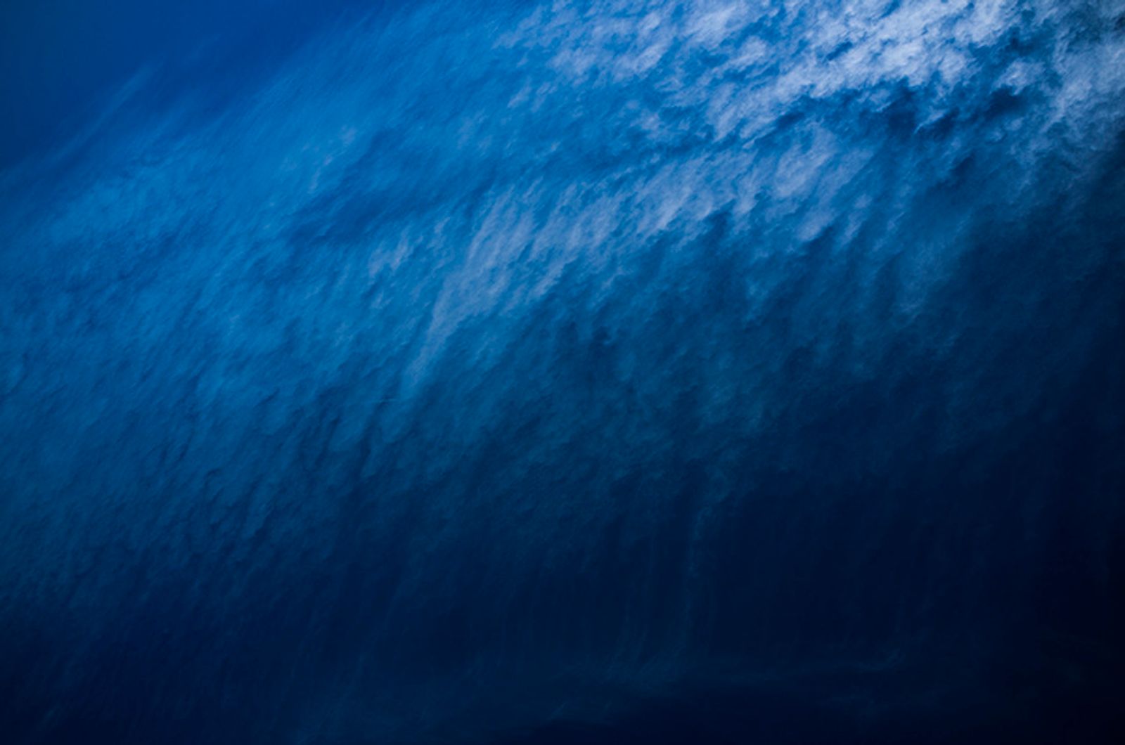 Sleeping Forest - PhMuseum