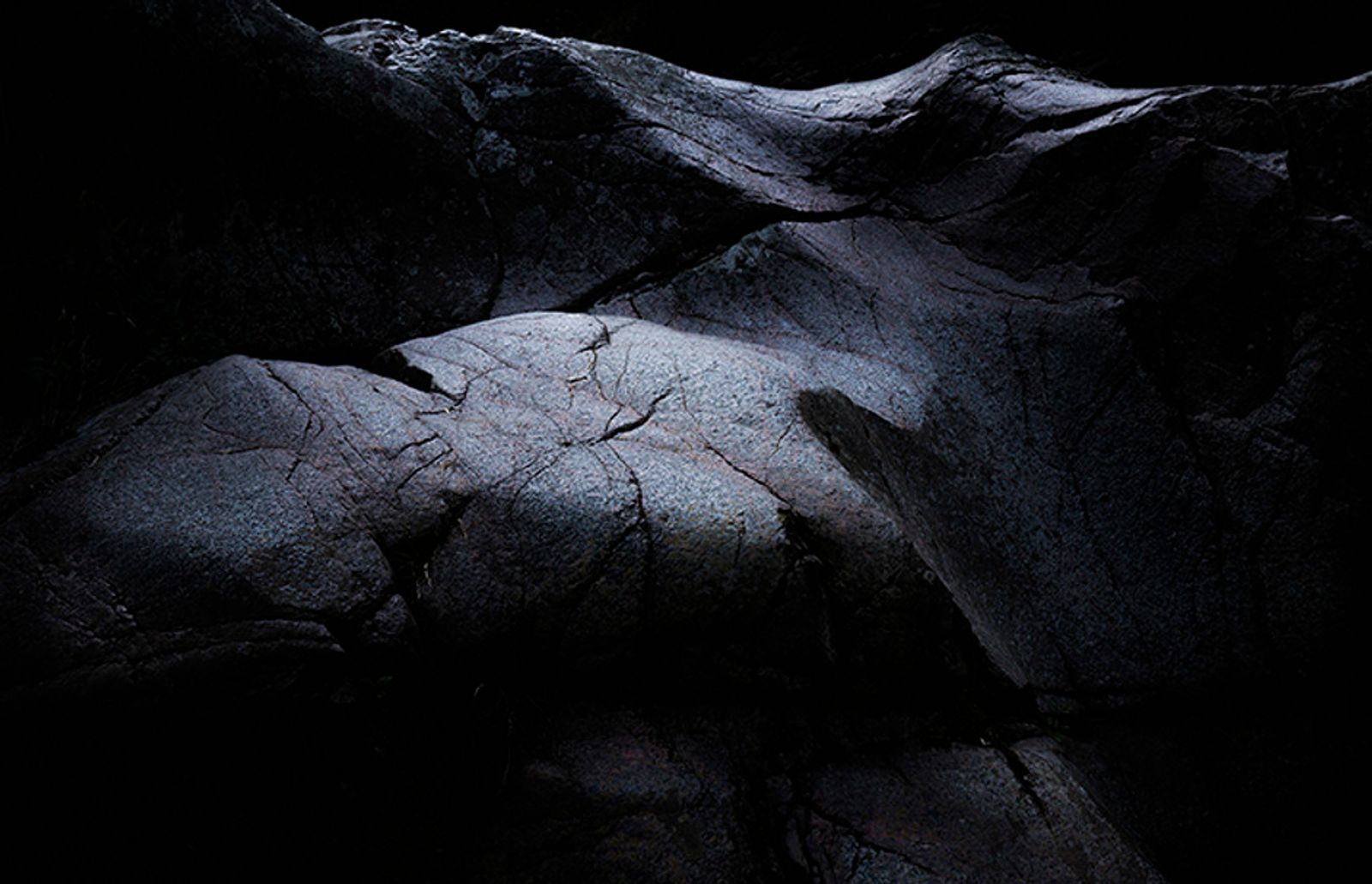 Sleeping Forest - PhMuseum