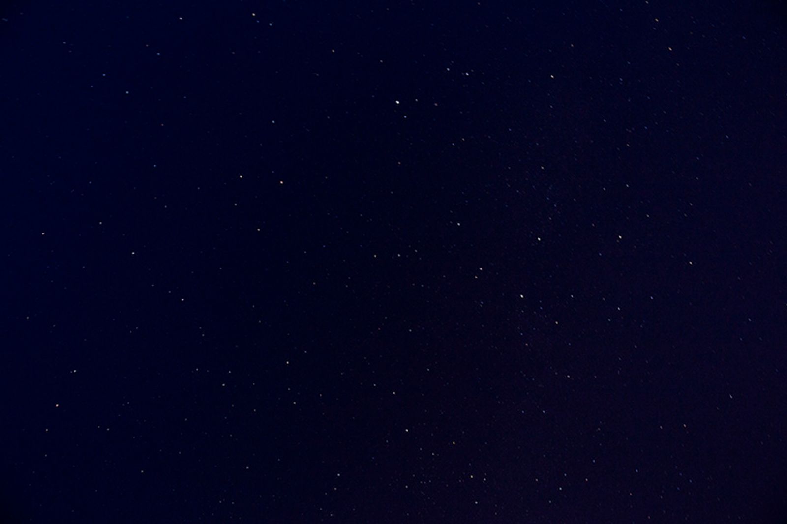 Sleeping Forest - PhMuseum