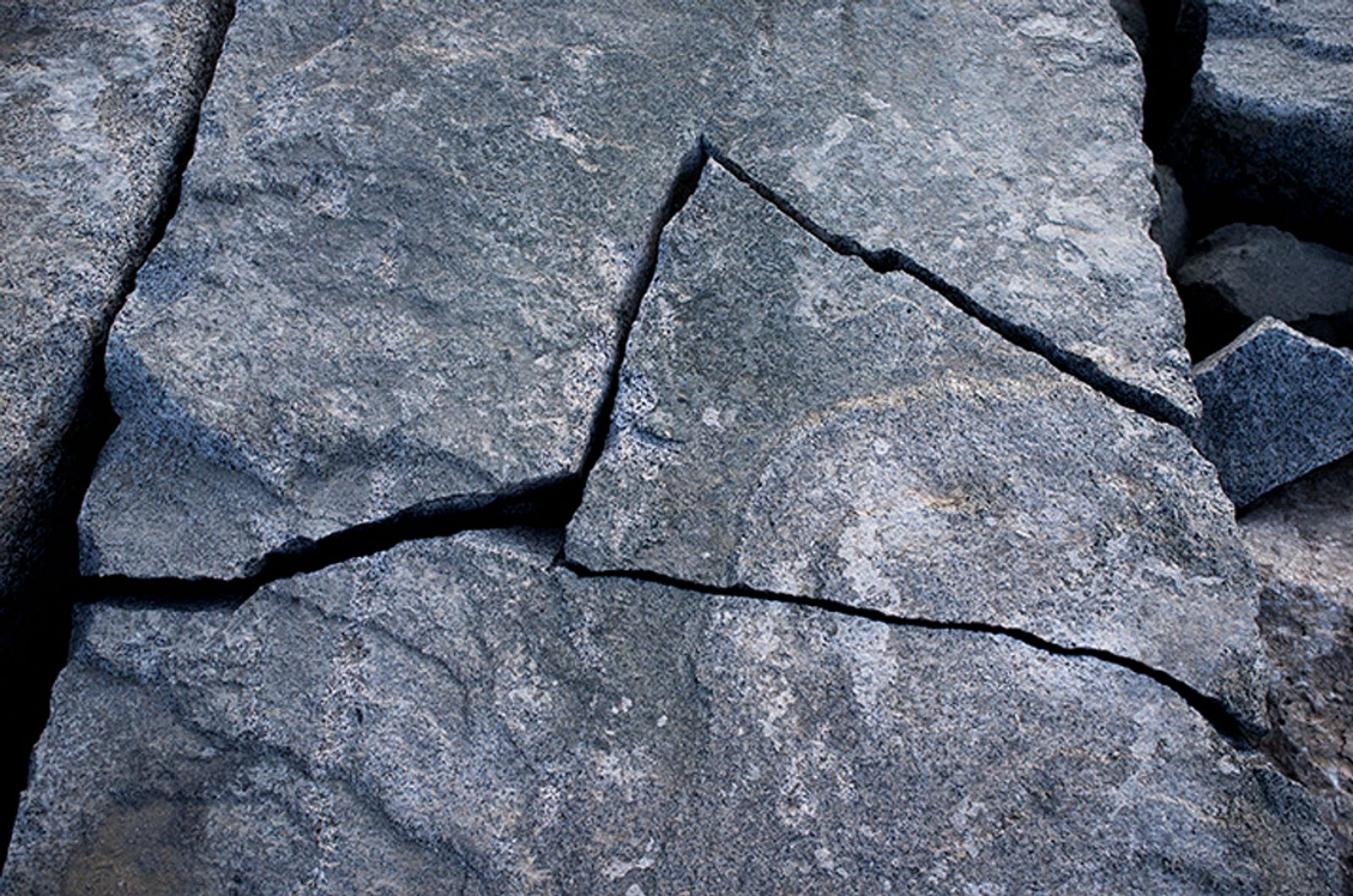 Sleeping Forest - PhMuseum