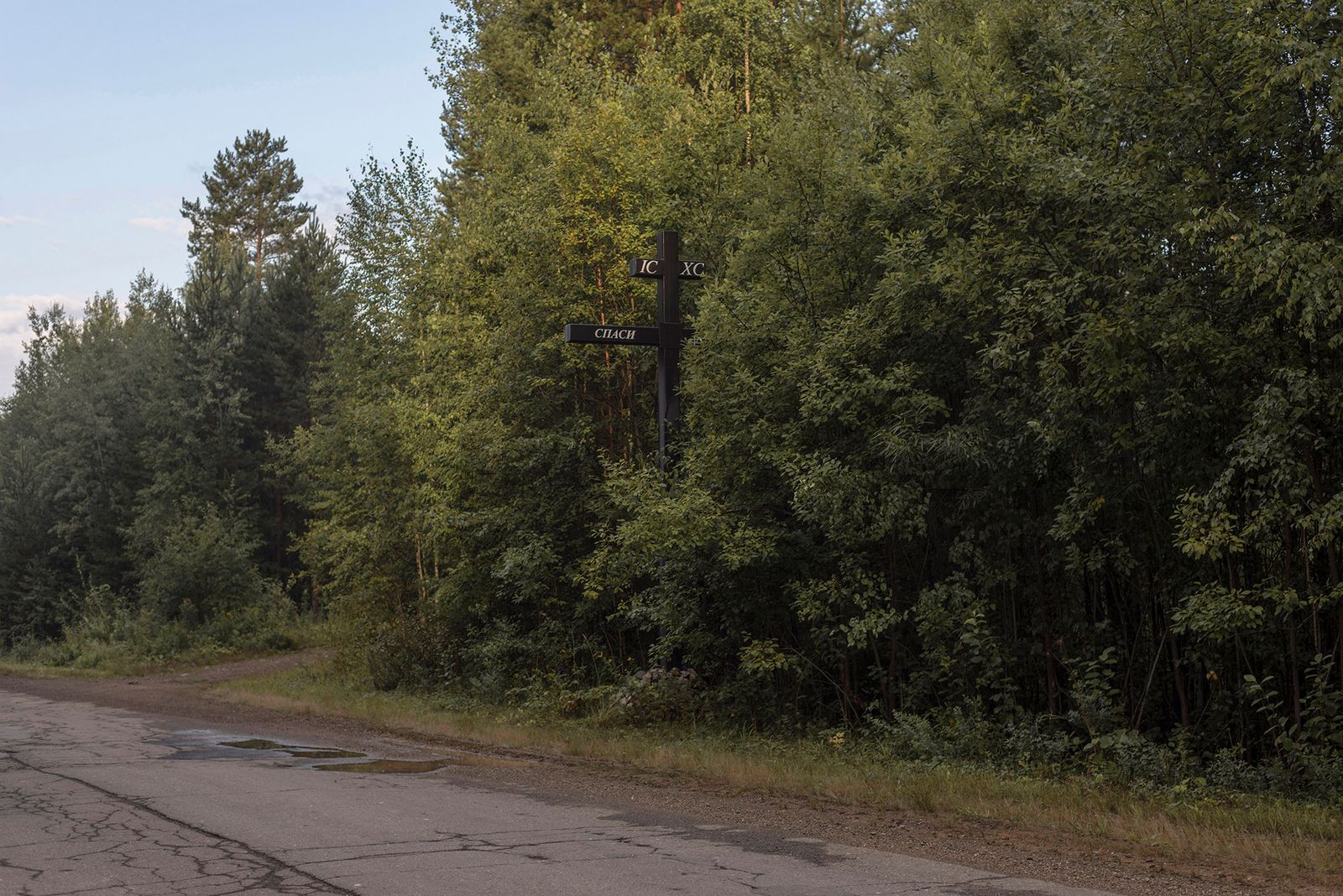 Mermaid Diary - PhMuseum