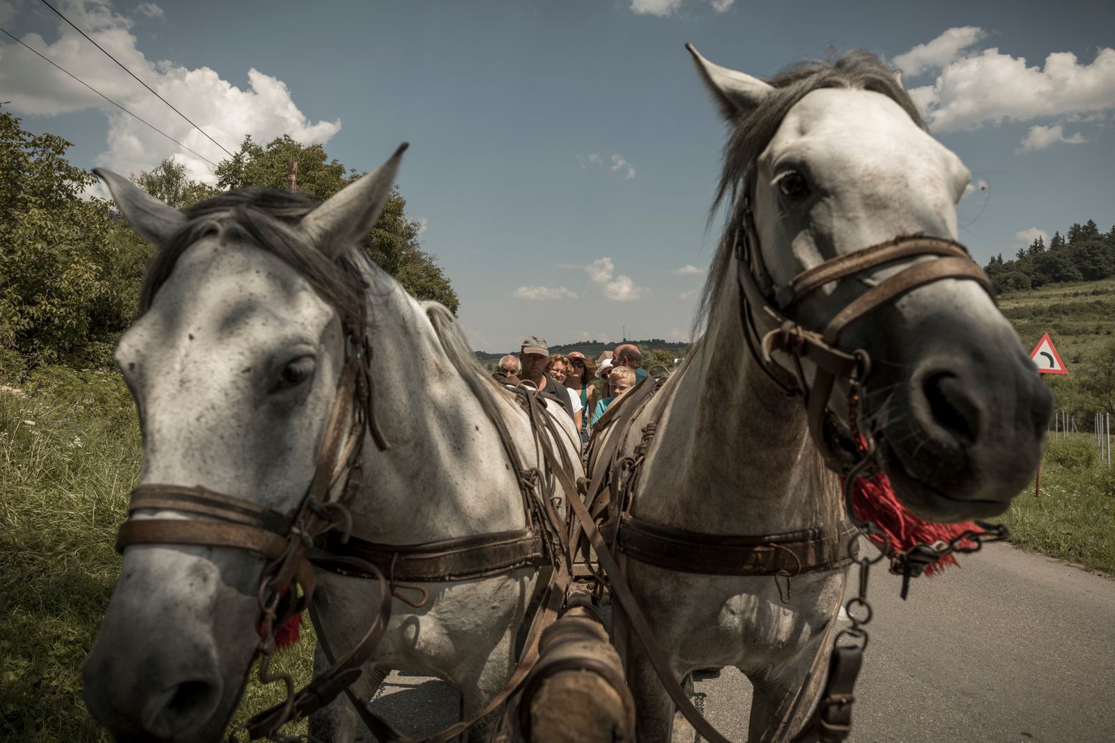 Across the river's flow - PhMuseum