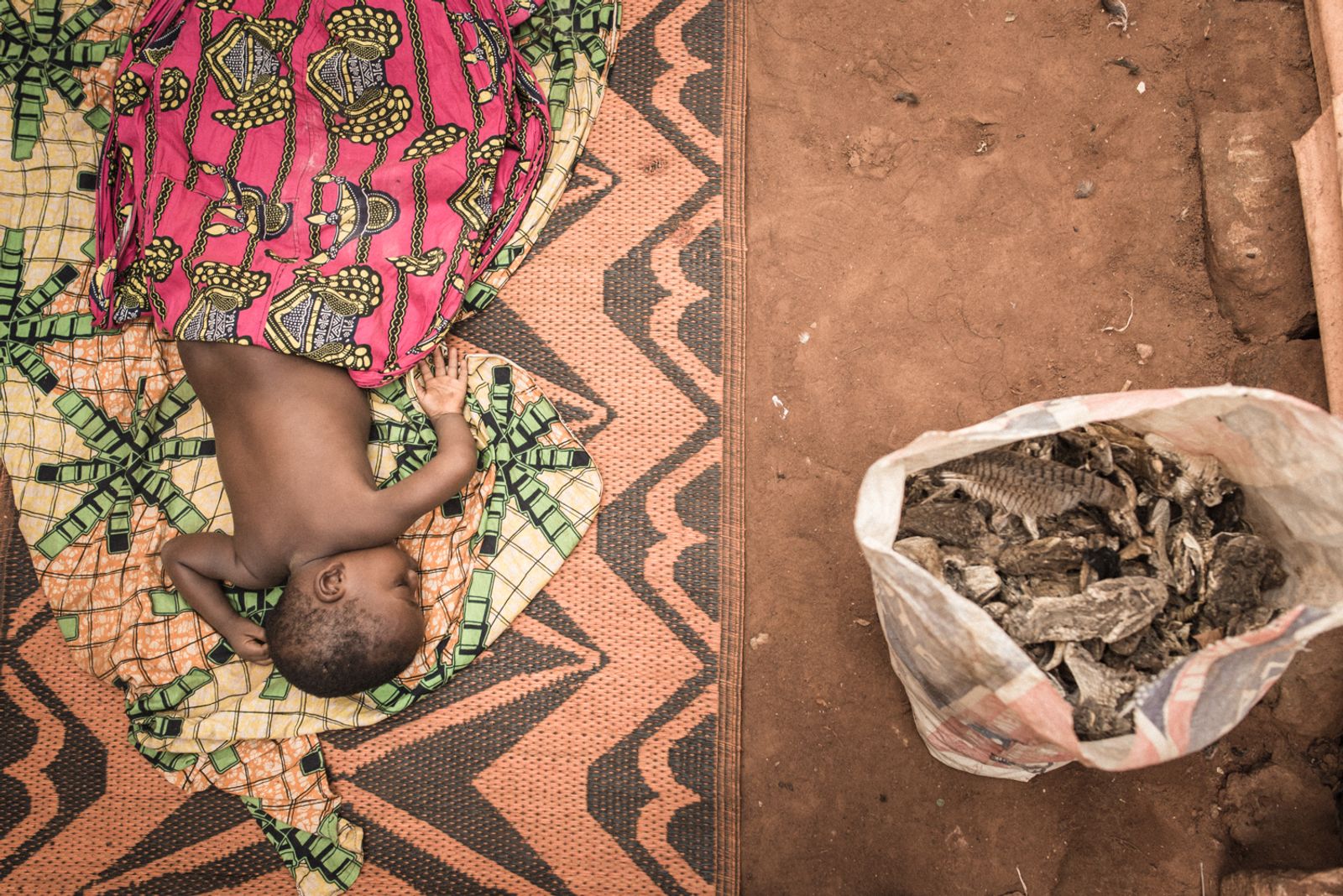 Celebrating Vodun - PhMuseum