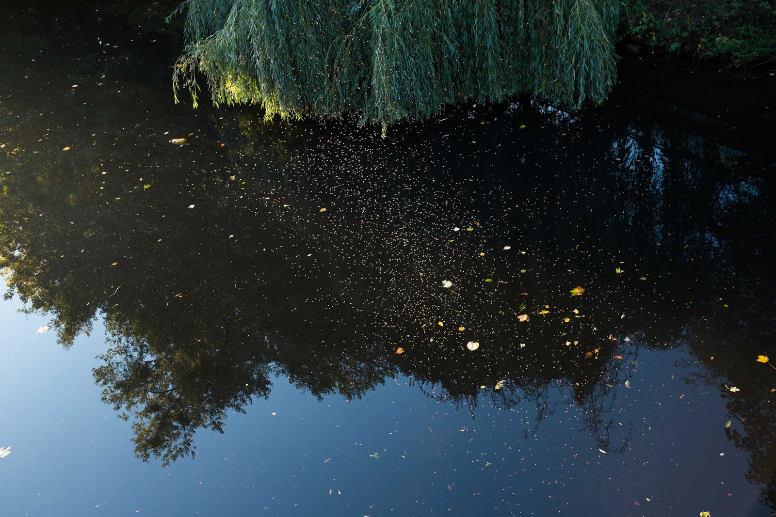 // becoming // & GIRLHOOD - PhMuseum