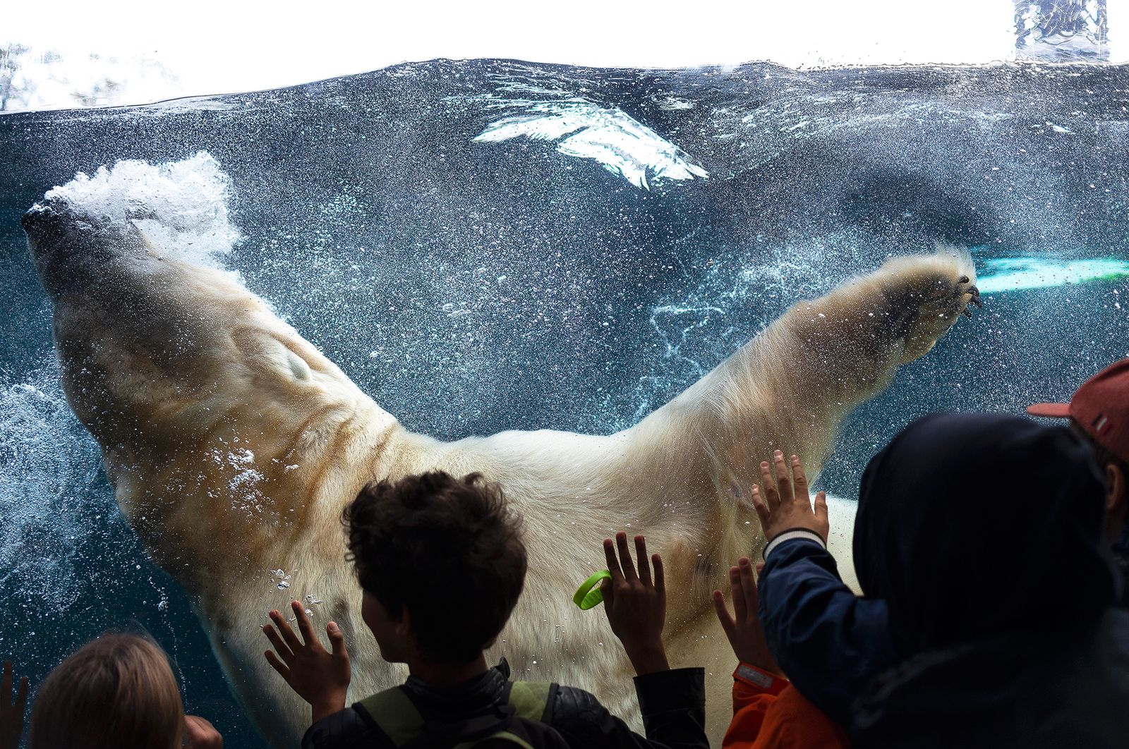 humanature - PhMuseum