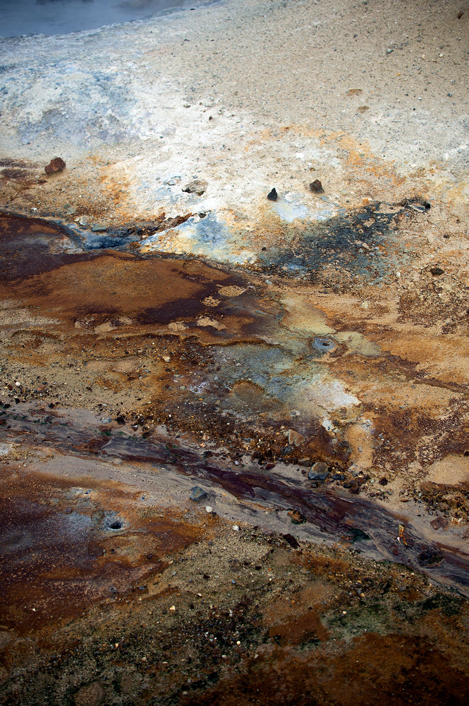 humanature - PhMuseum