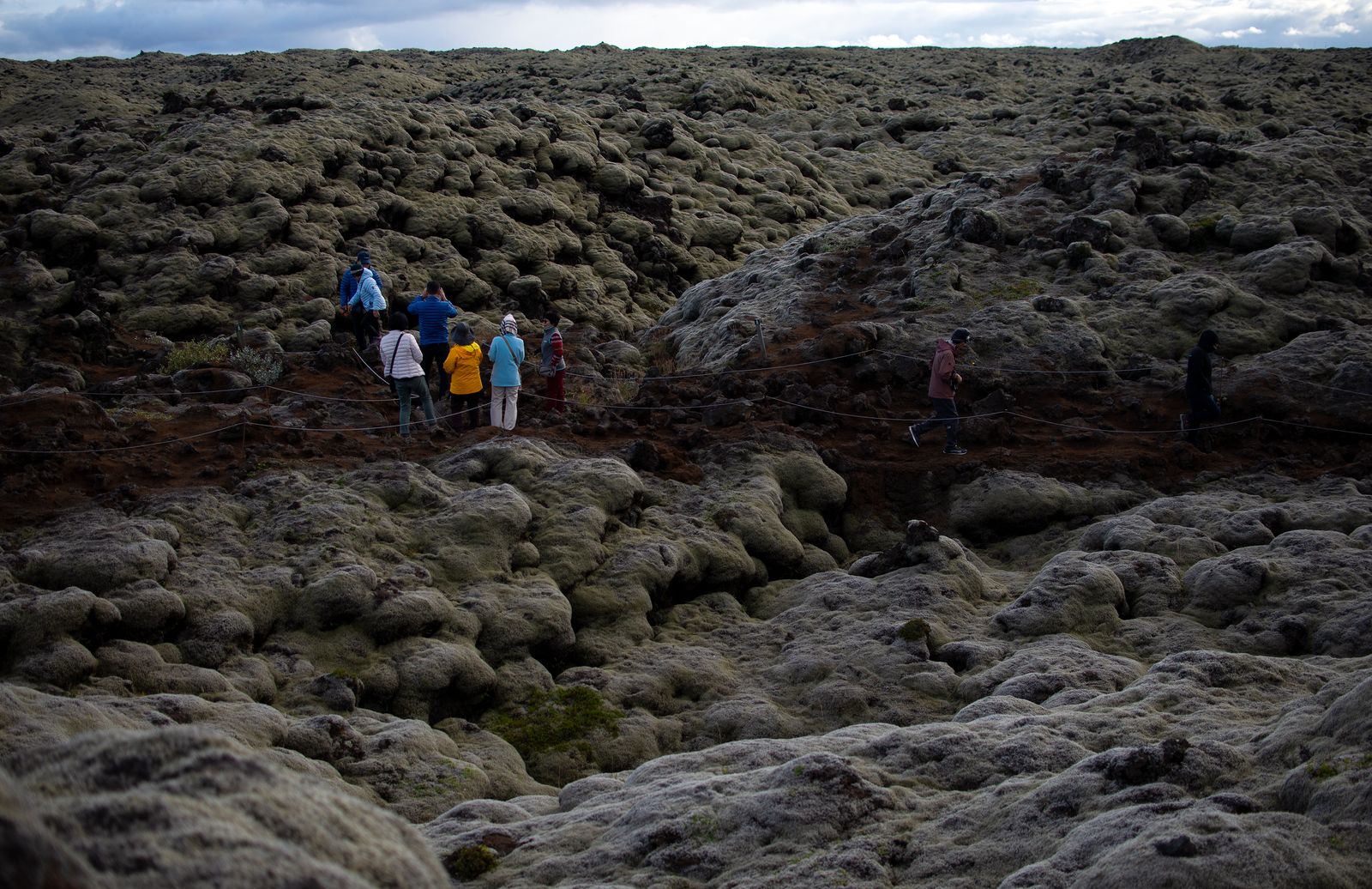 humanature - PhMuseum