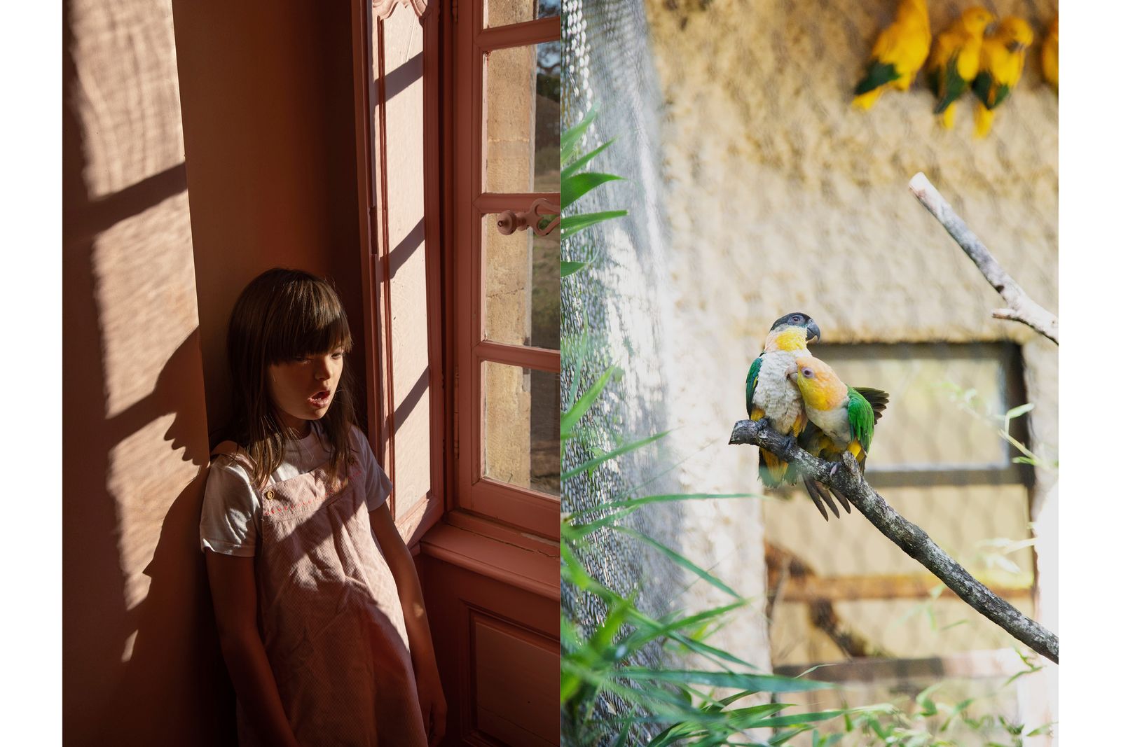 Into the Void - PhMuseum