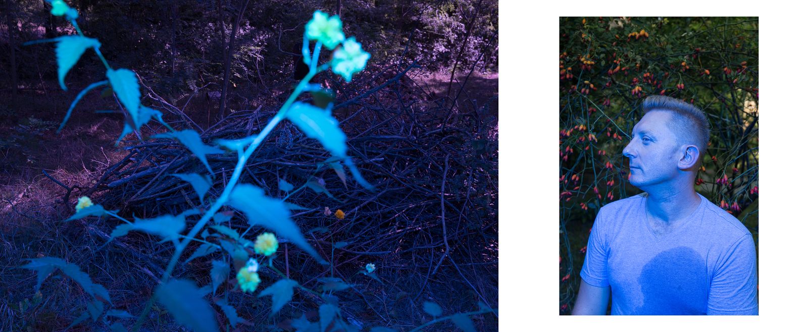 Mirror..mirror.. - PhMuseum