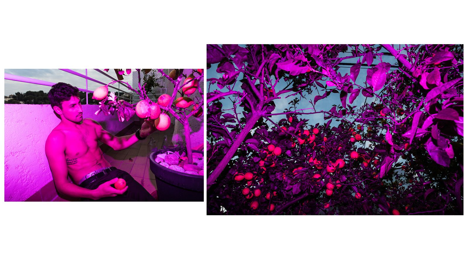 Mirror..mirror.. - PhMuseum