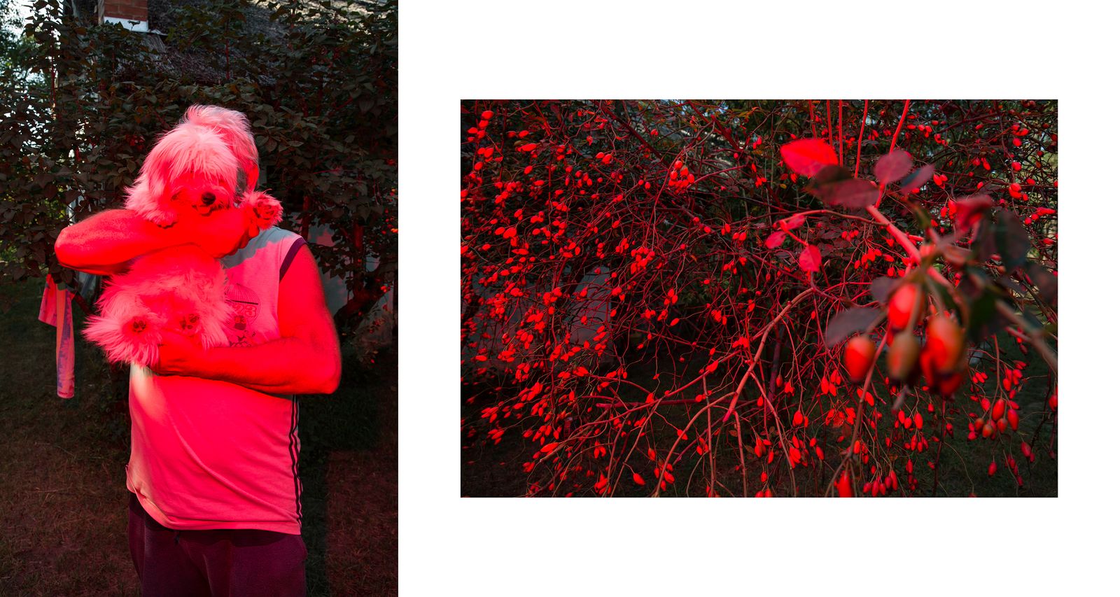 Mirror..mirror.. - PhMuseum