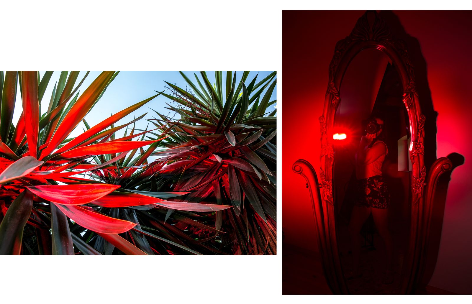 Mirror..mirror.. - PhMuseum