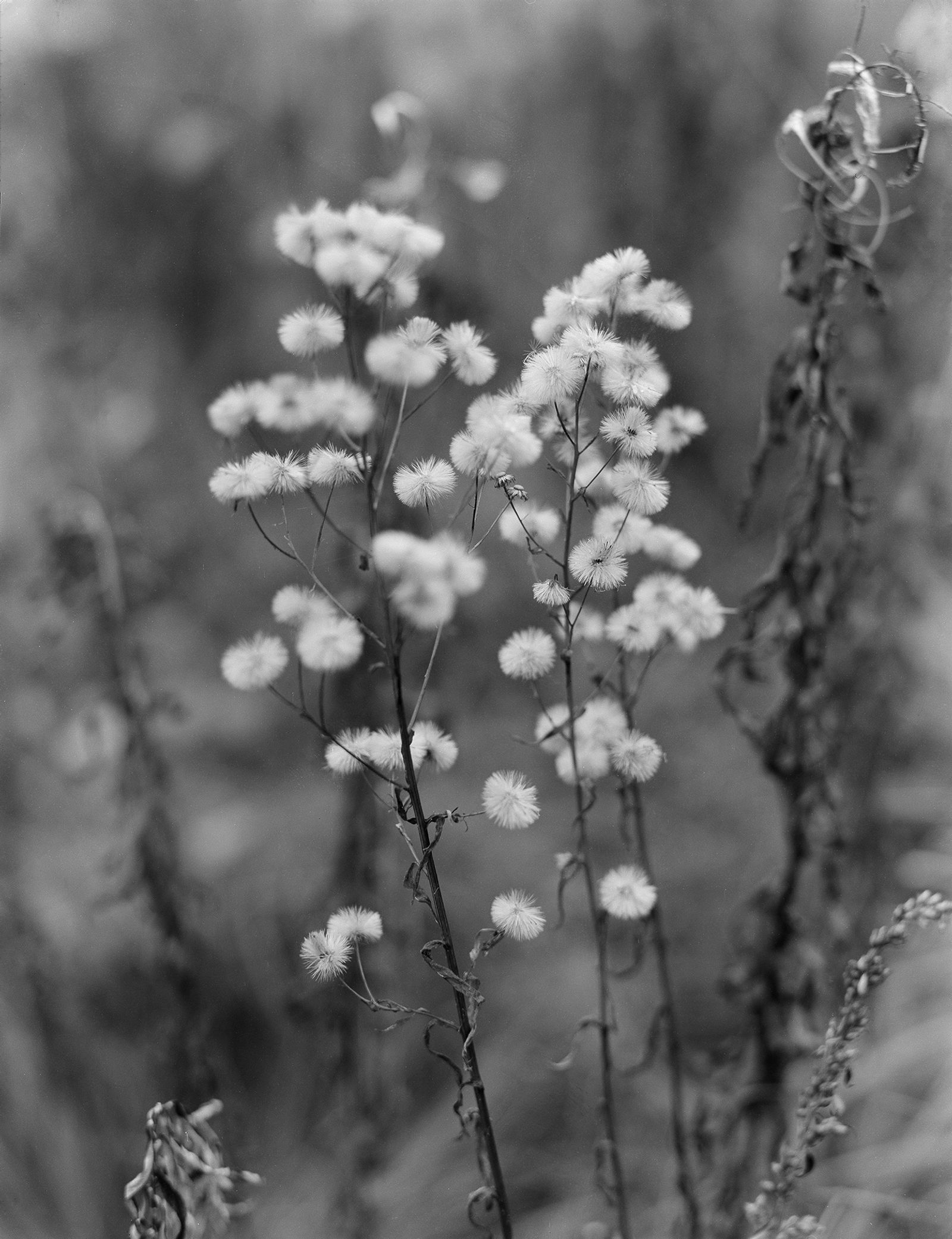 Empty Nest - PhMuseum
