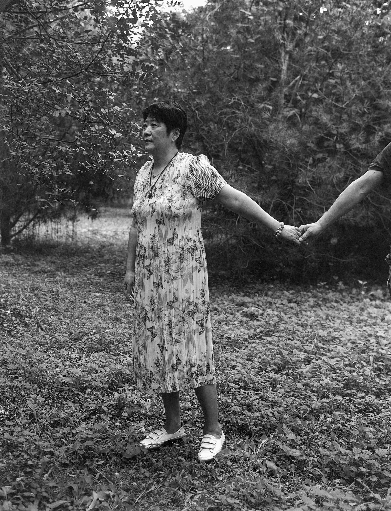 Empty Nest - PhMuseum