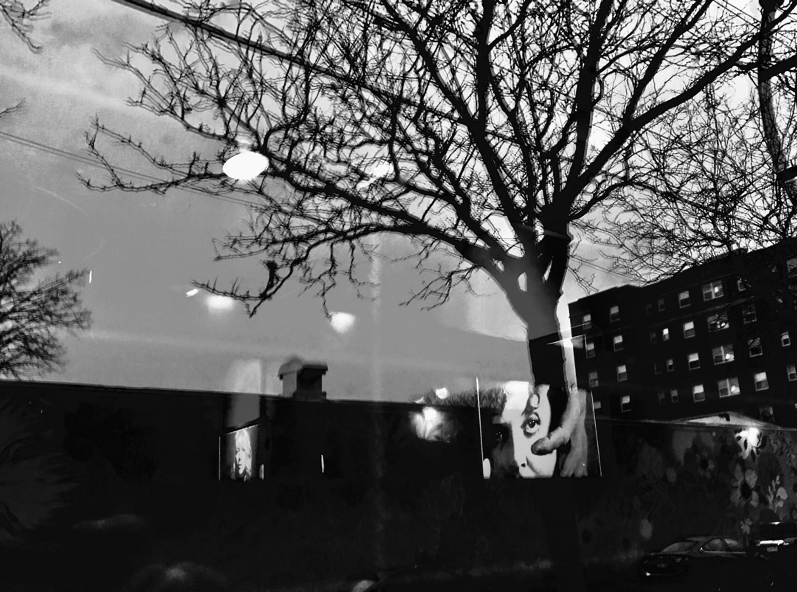 if you were here - PhMuseum