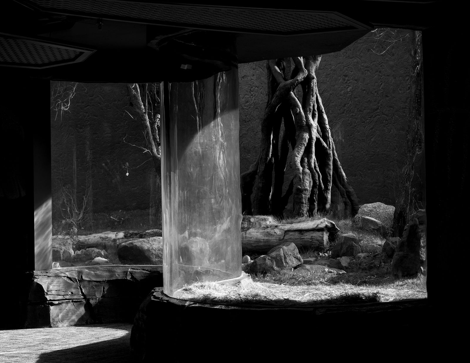 A Natural History (Built to be Seen) - PhMuseum