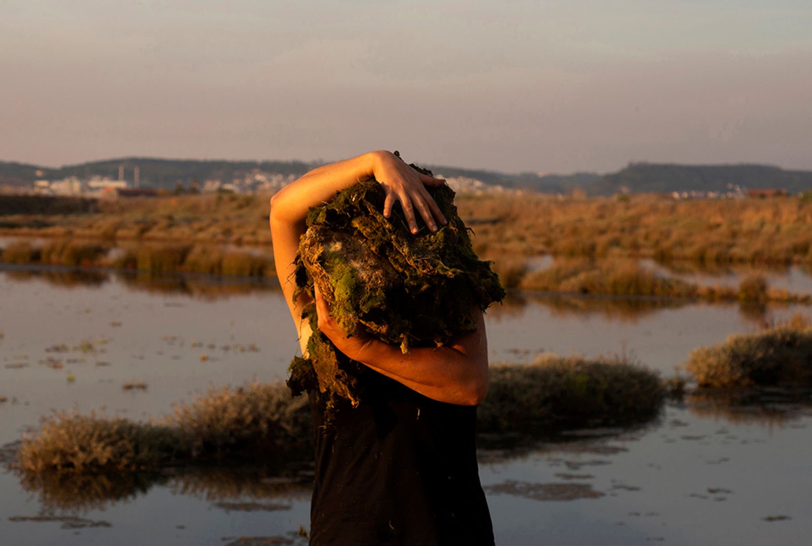 To Wander the Sea - PhMuseum