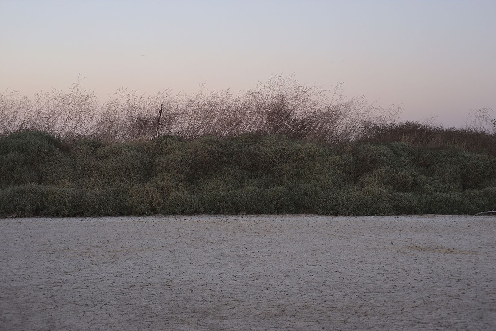 To Wander the Sea - PhMuseum