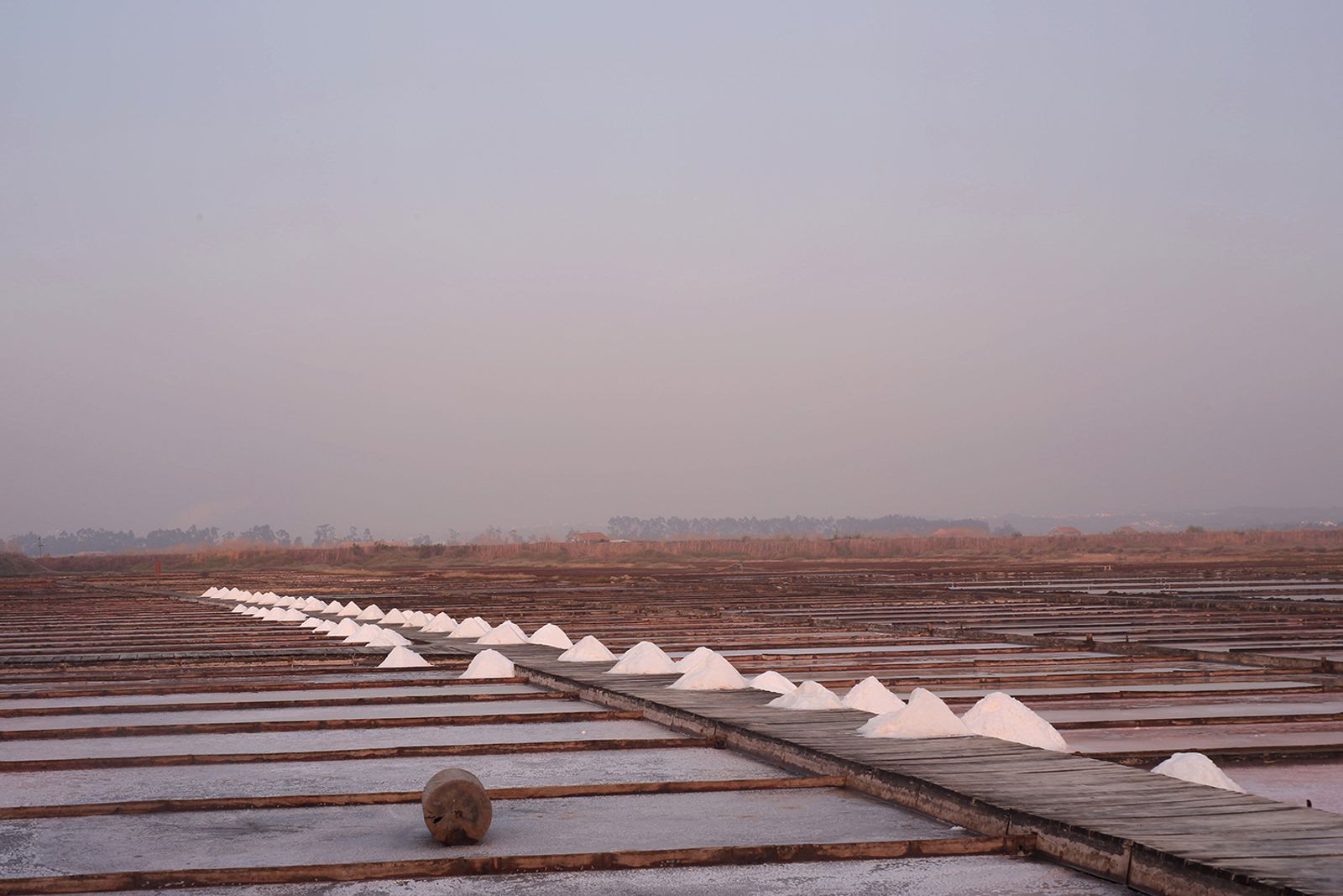 To Wander the Sea - PhMuseum