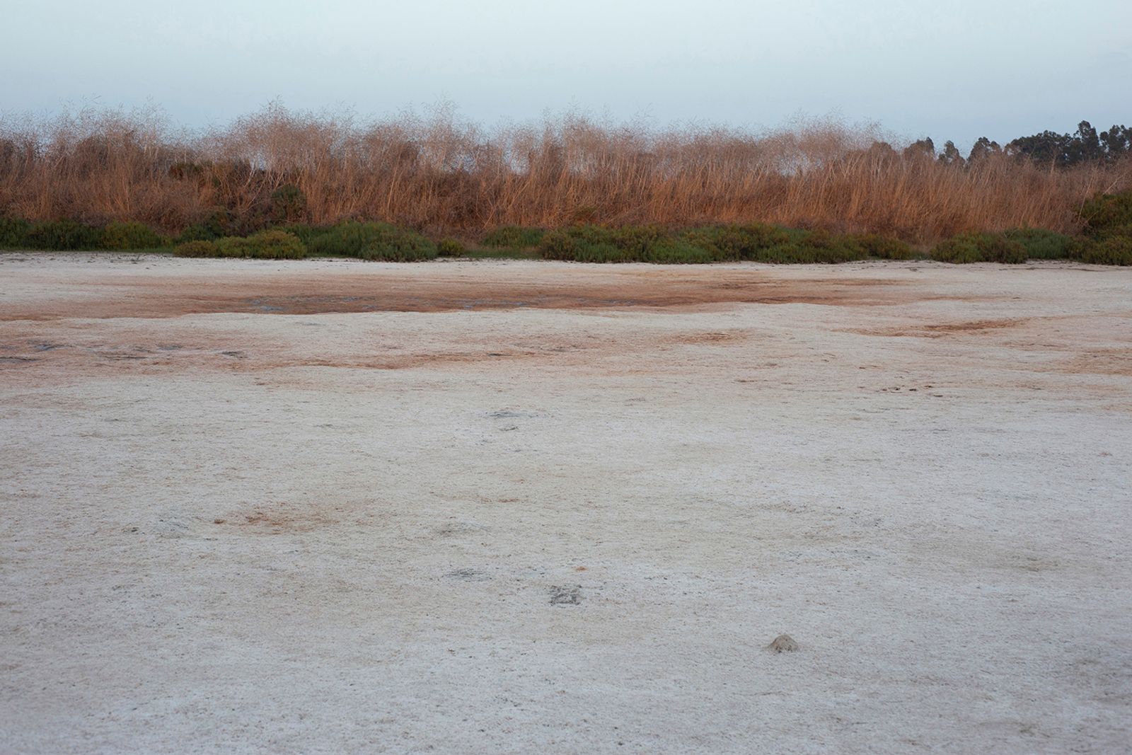 To Wander the Sea - PhMuseum