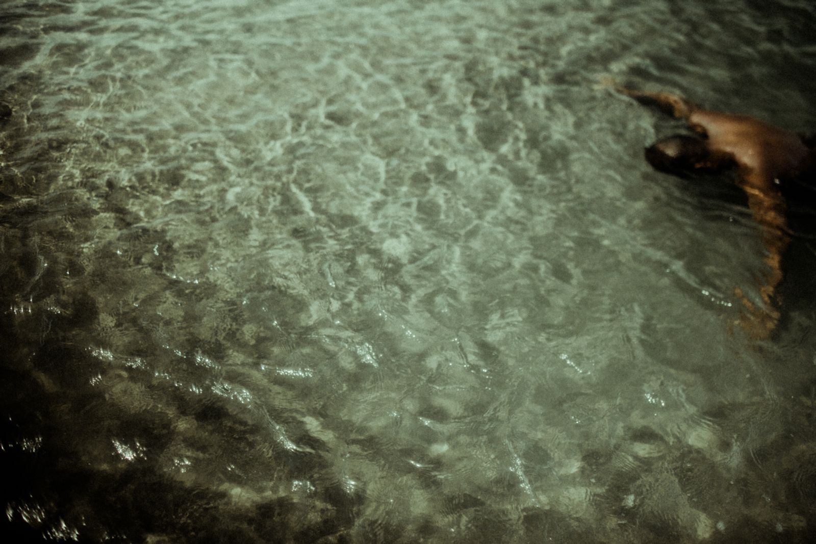 Nothing Happened - PhMuseum