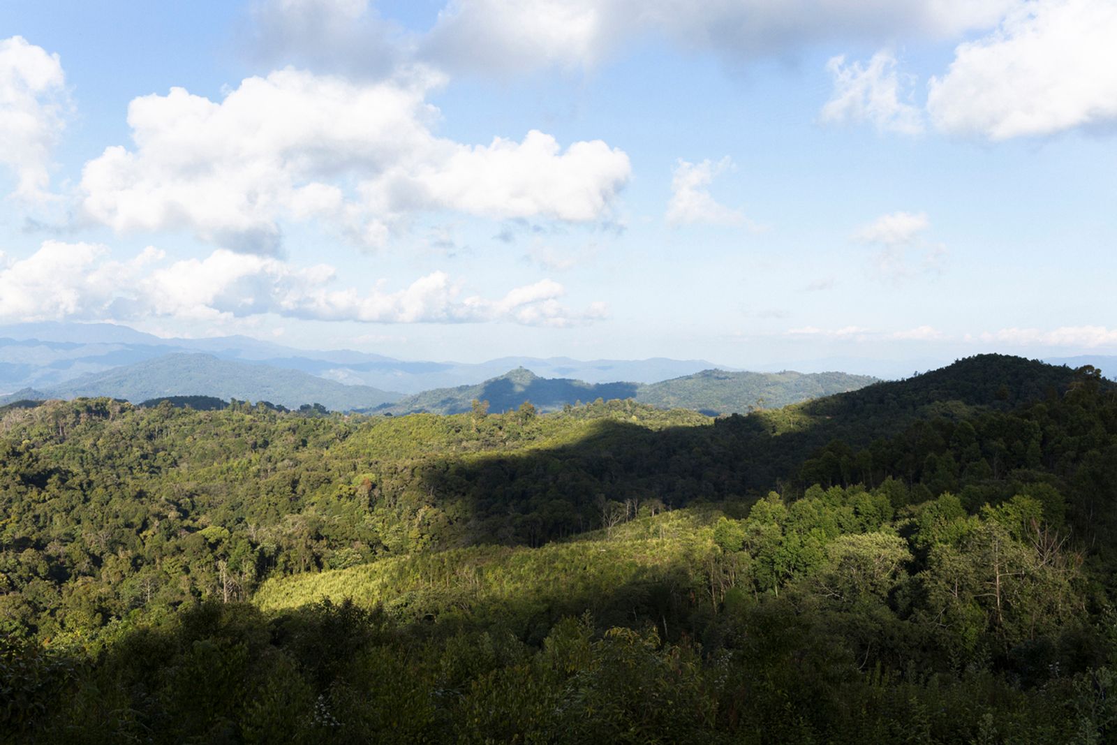 In the human being. The ragers of burma - PhMuseum