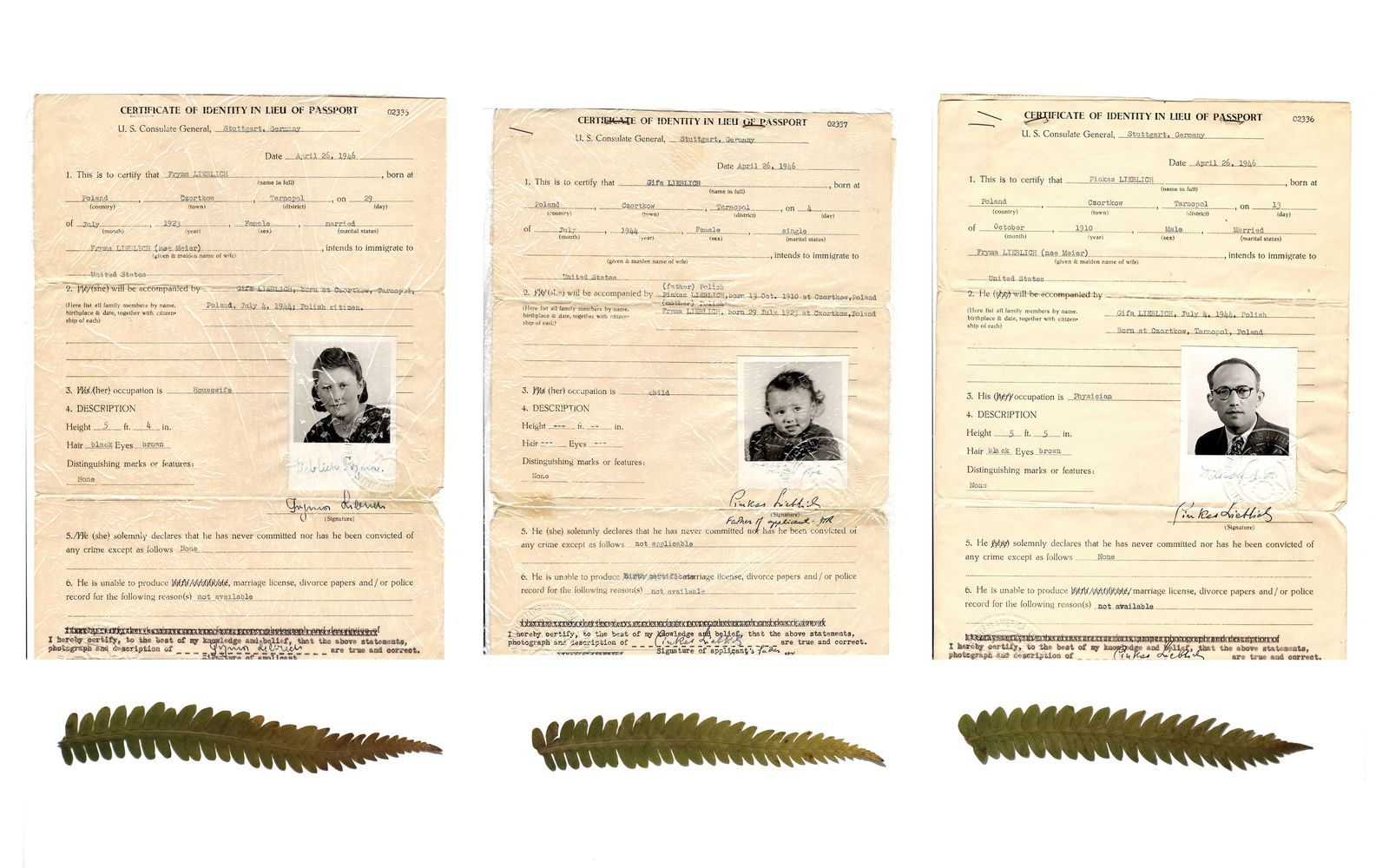 L'dor V'dor: From Generation to Generation - PhMuseum