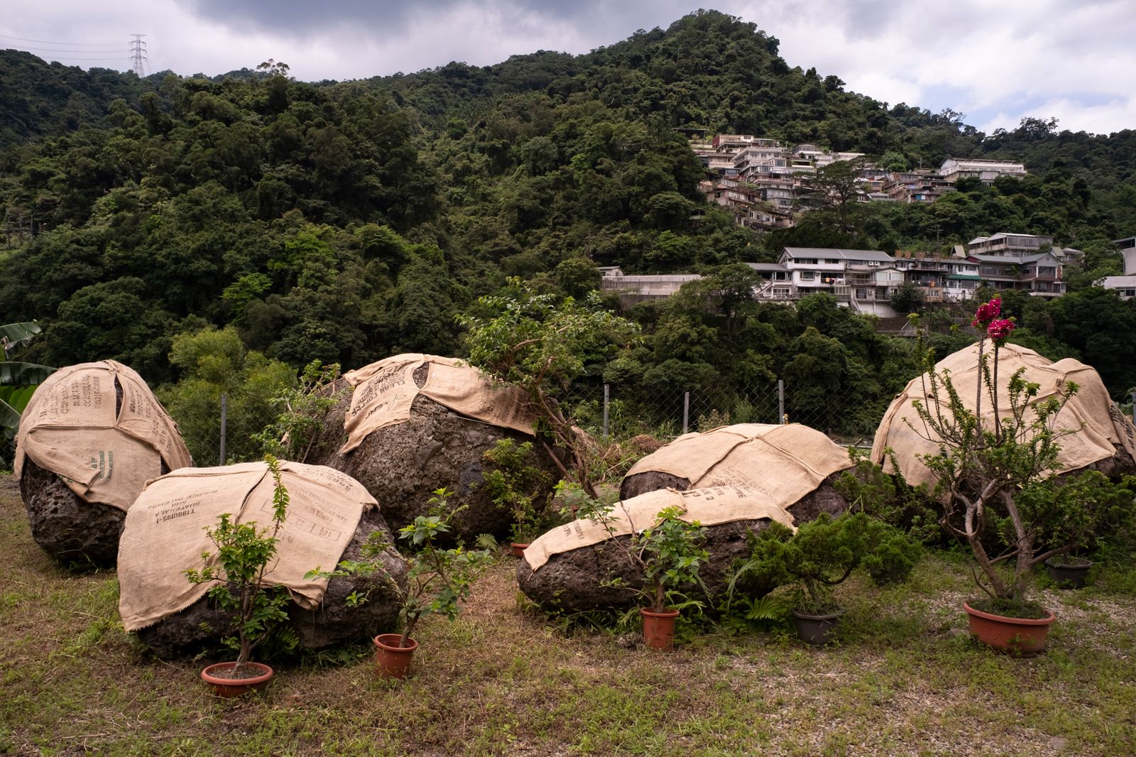 Something Vibrant - PhMuseum