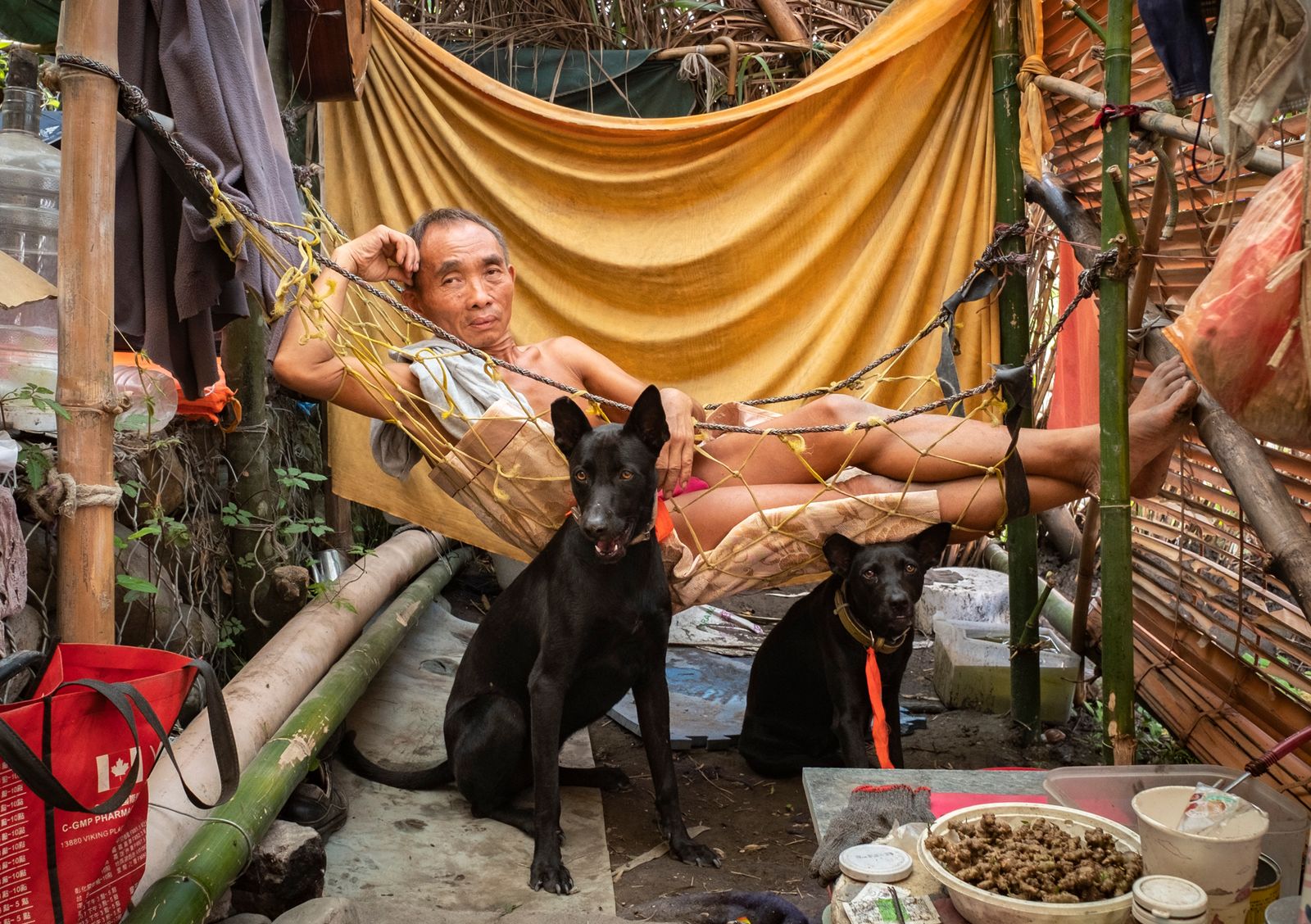 Something Vibrant - PhMuseum