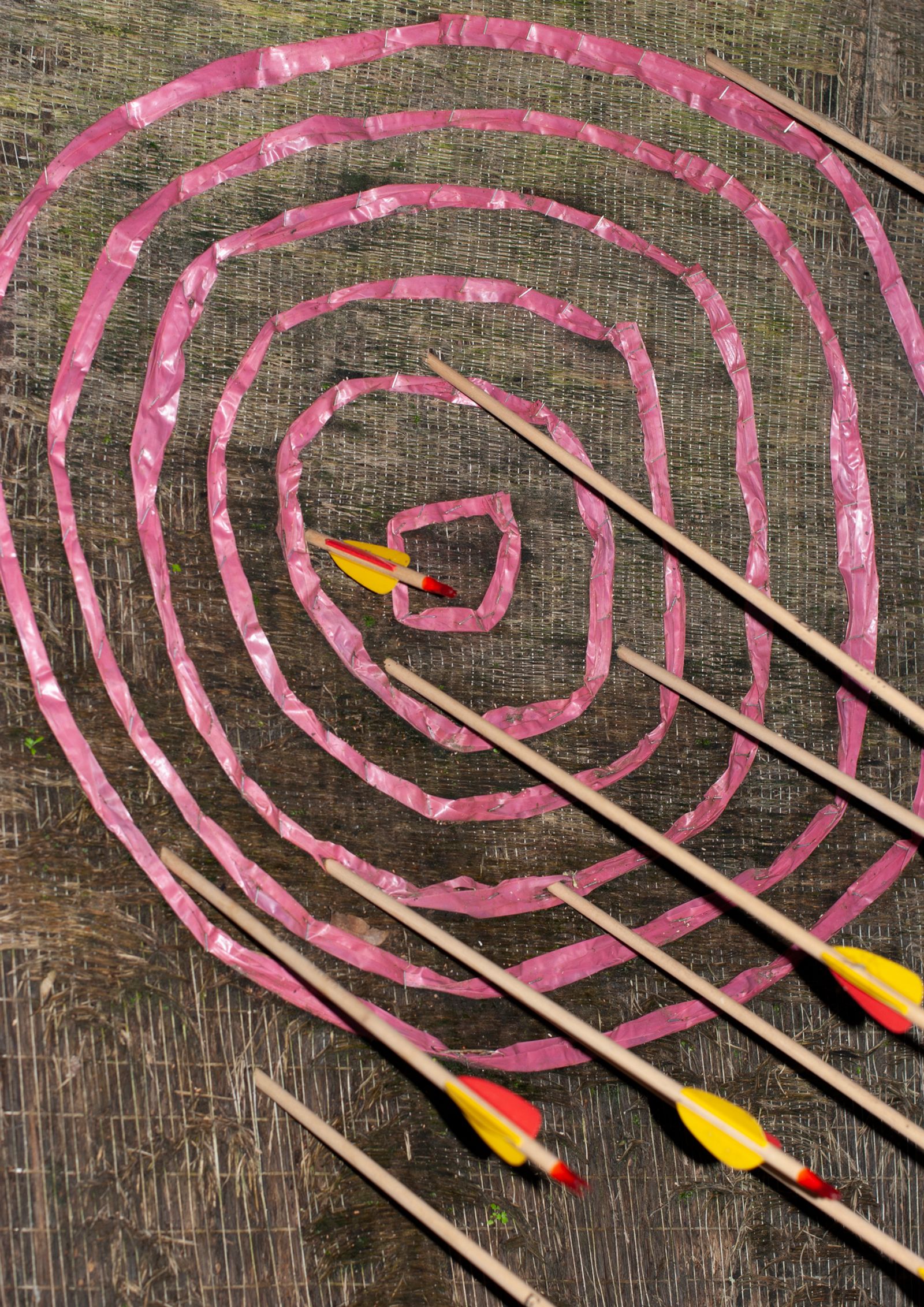 Something Vibrant - PhMuseum