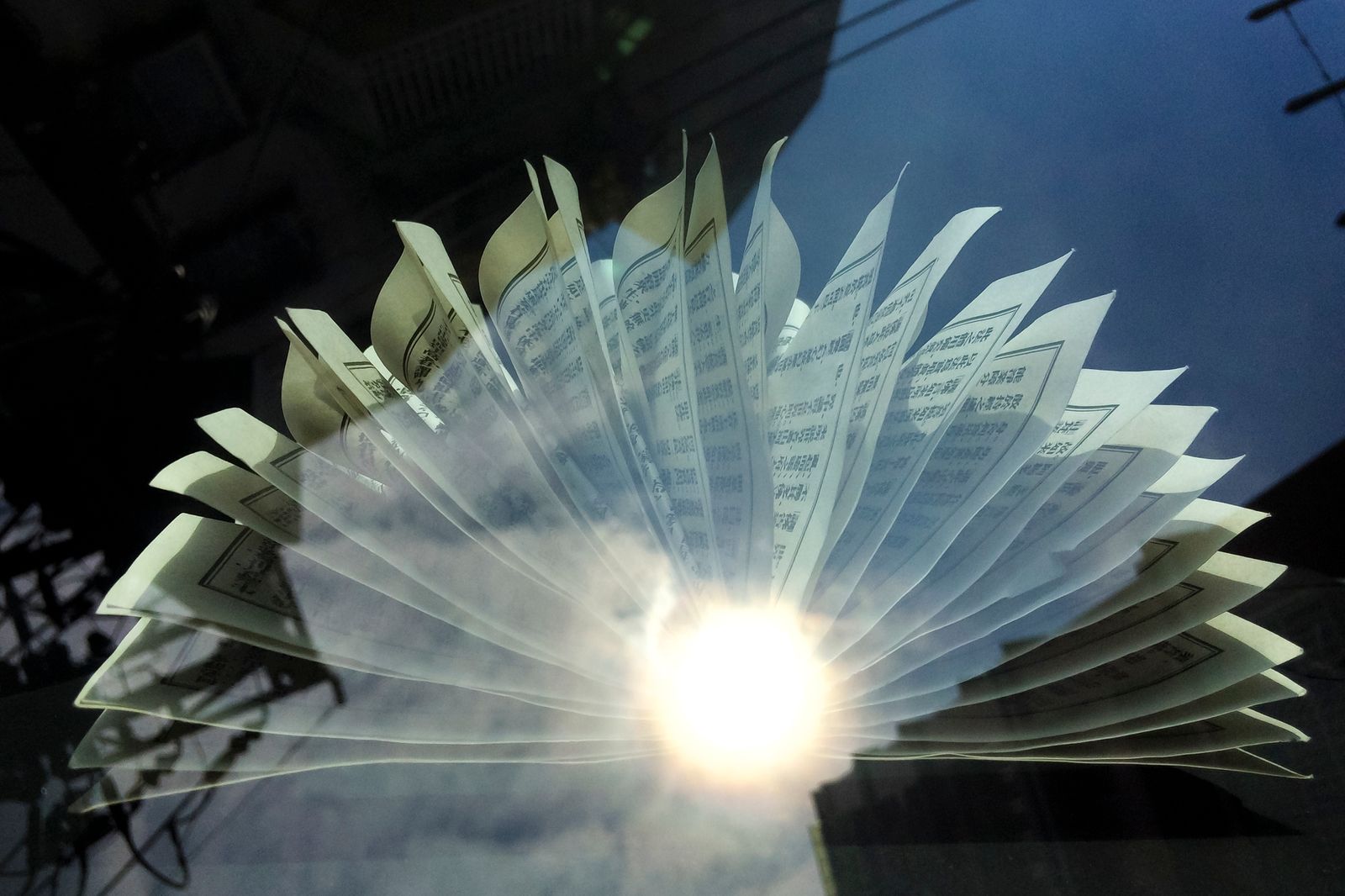 Something Vibrant - PhMuseum