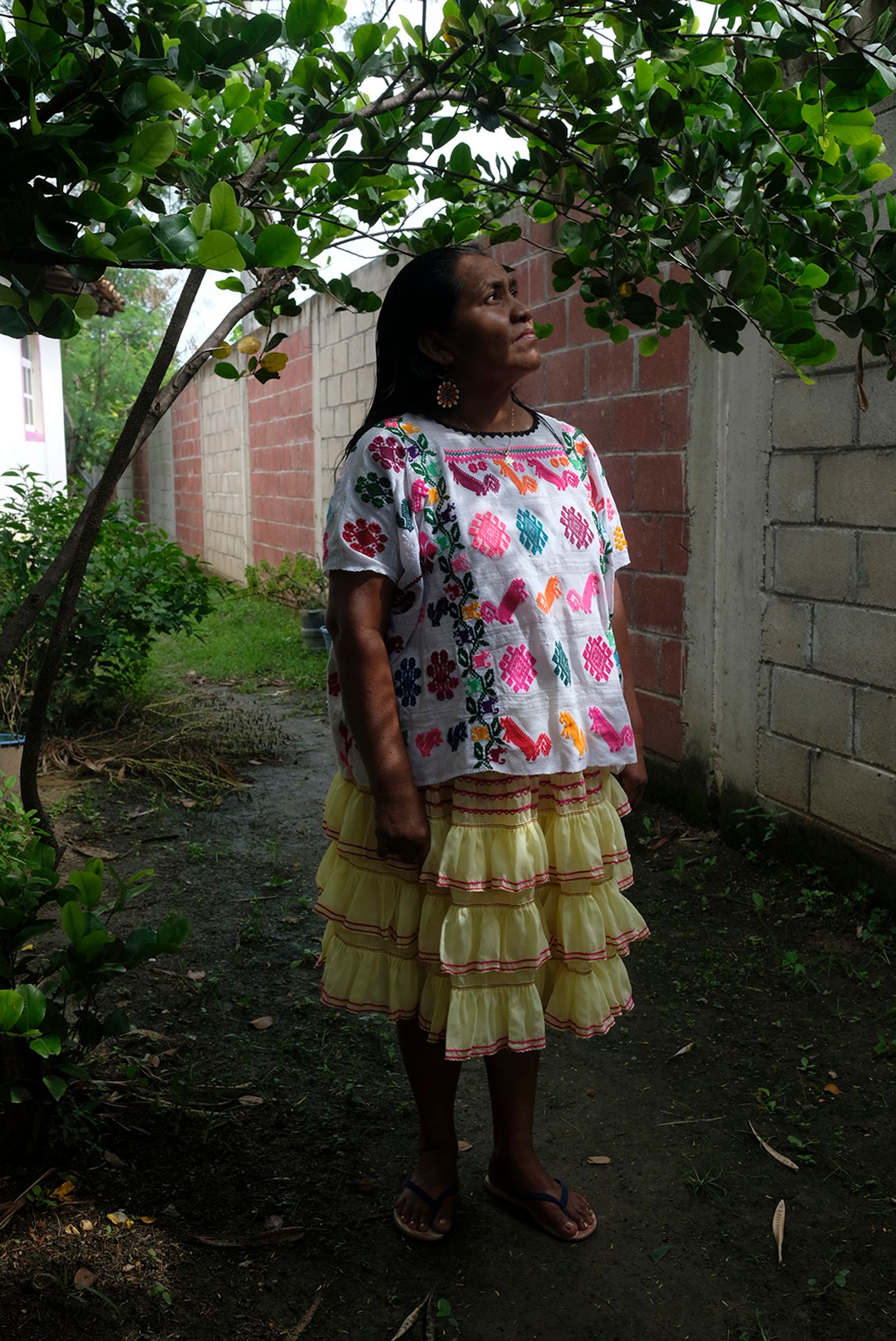 The wound and the mend - PhMuseum