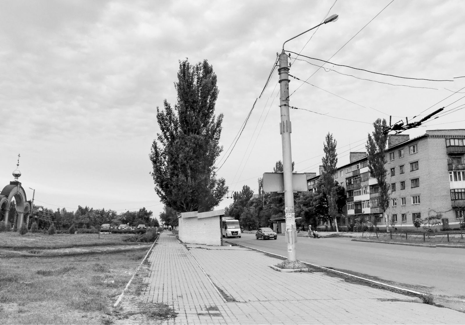 Trees in Ukraine - PhMuseum