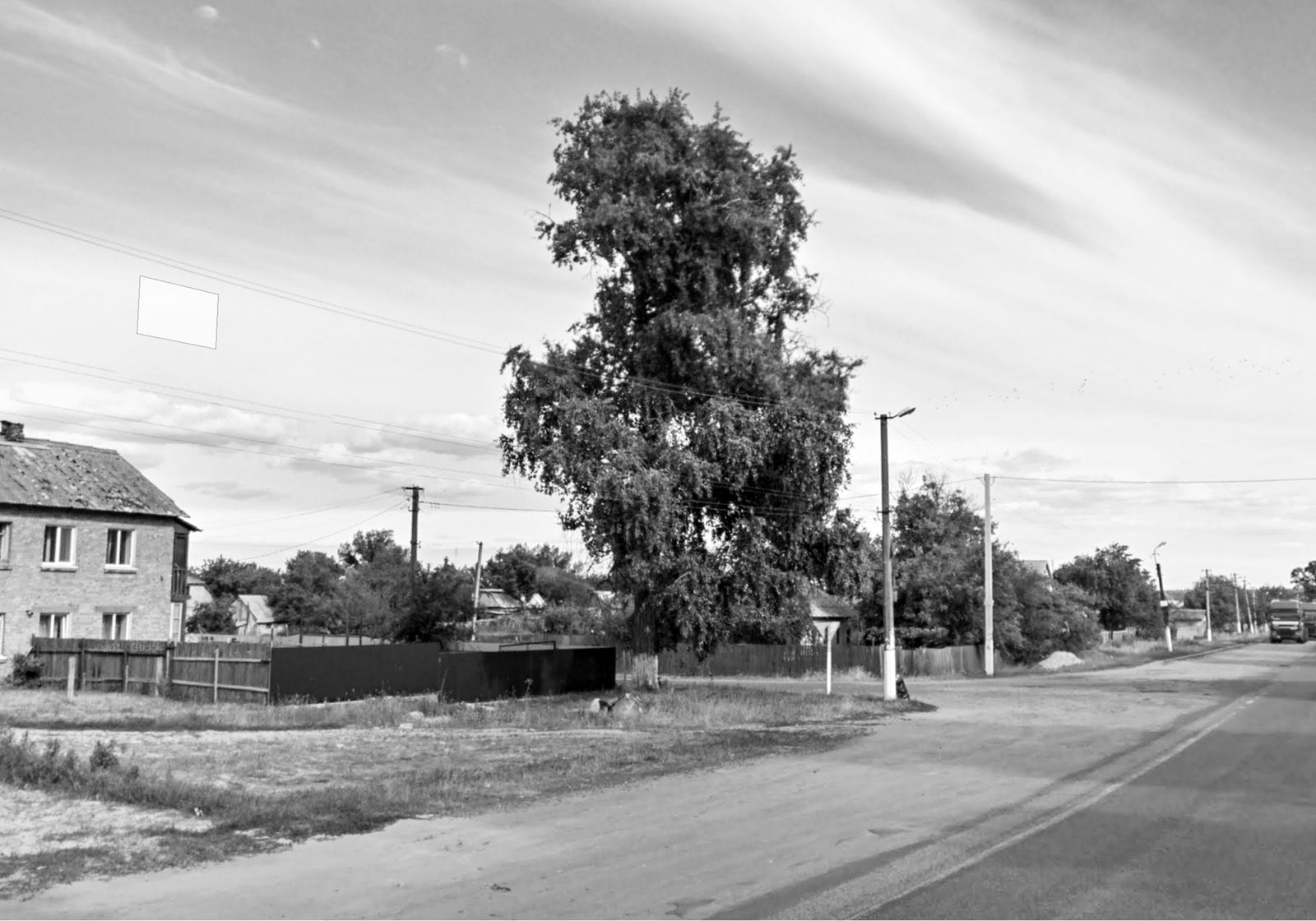 Trees in Ukraine - PhMuseum