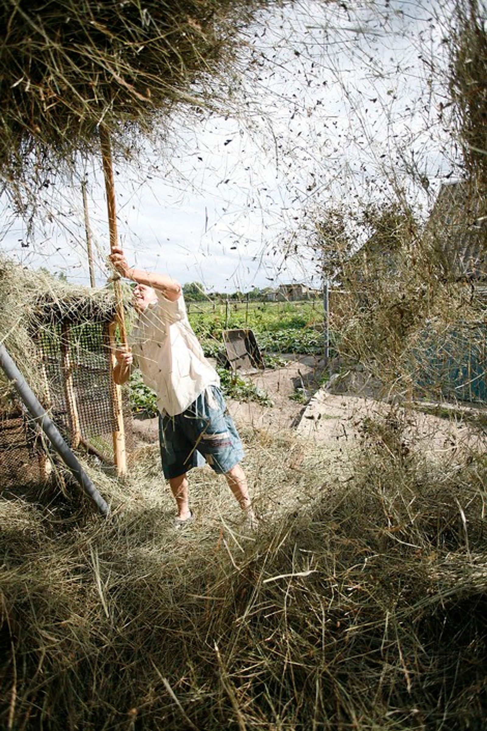 After Chernobyl - PhMuseum