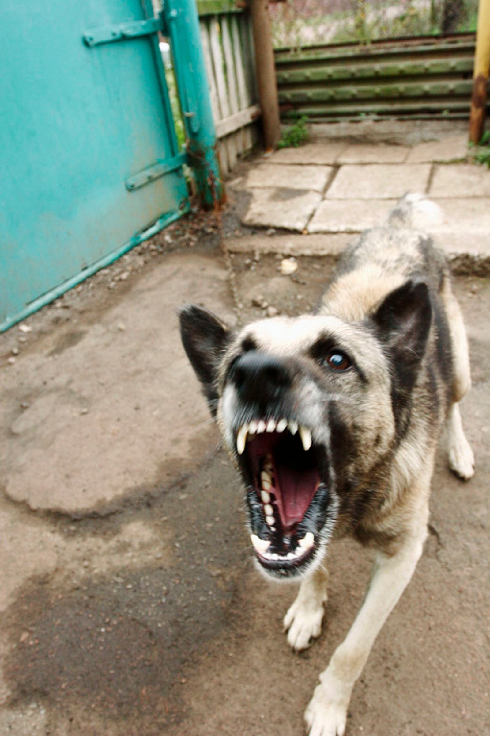 After Chernobyl - PhMuseum