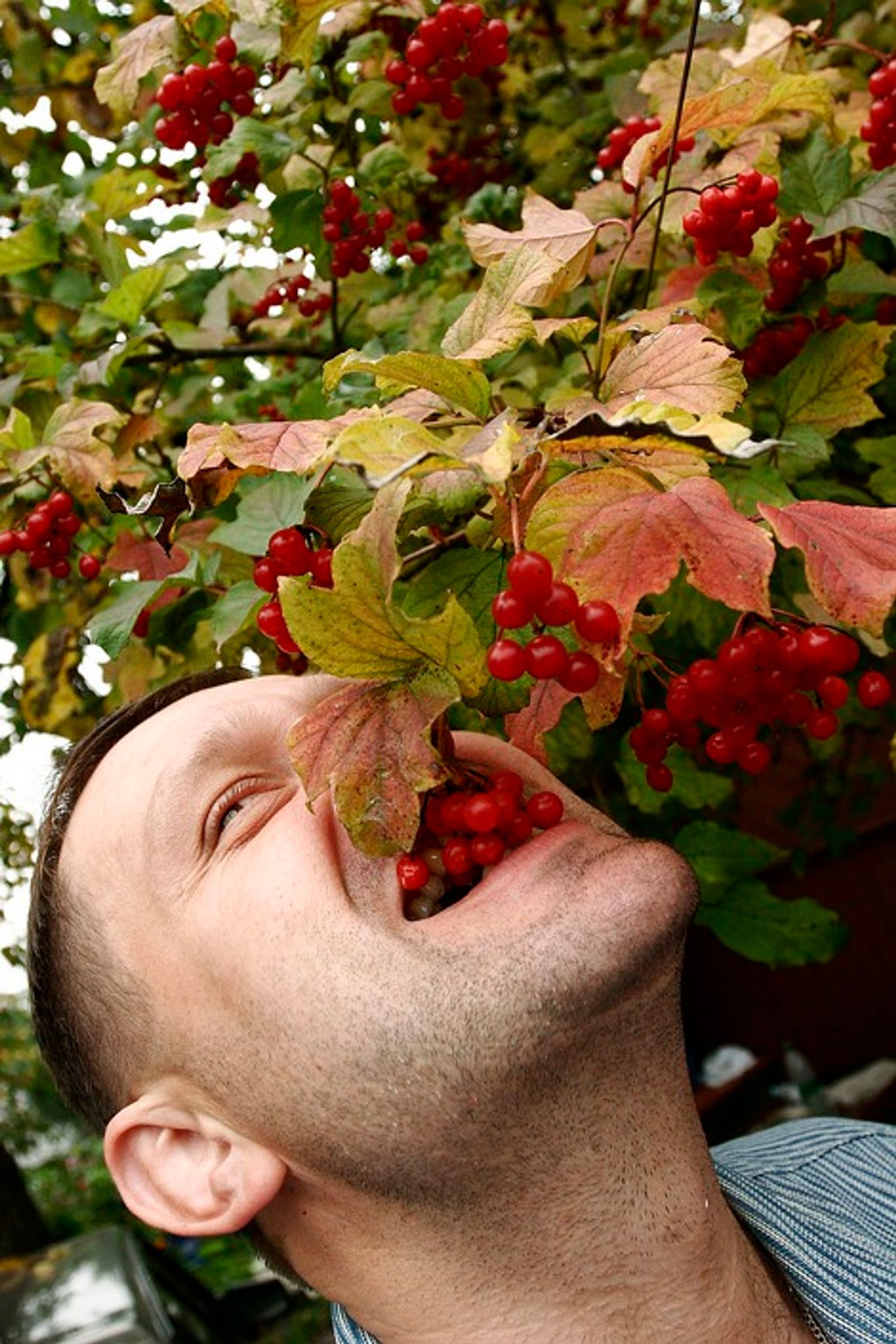 After Chernobyl - PhMuseum