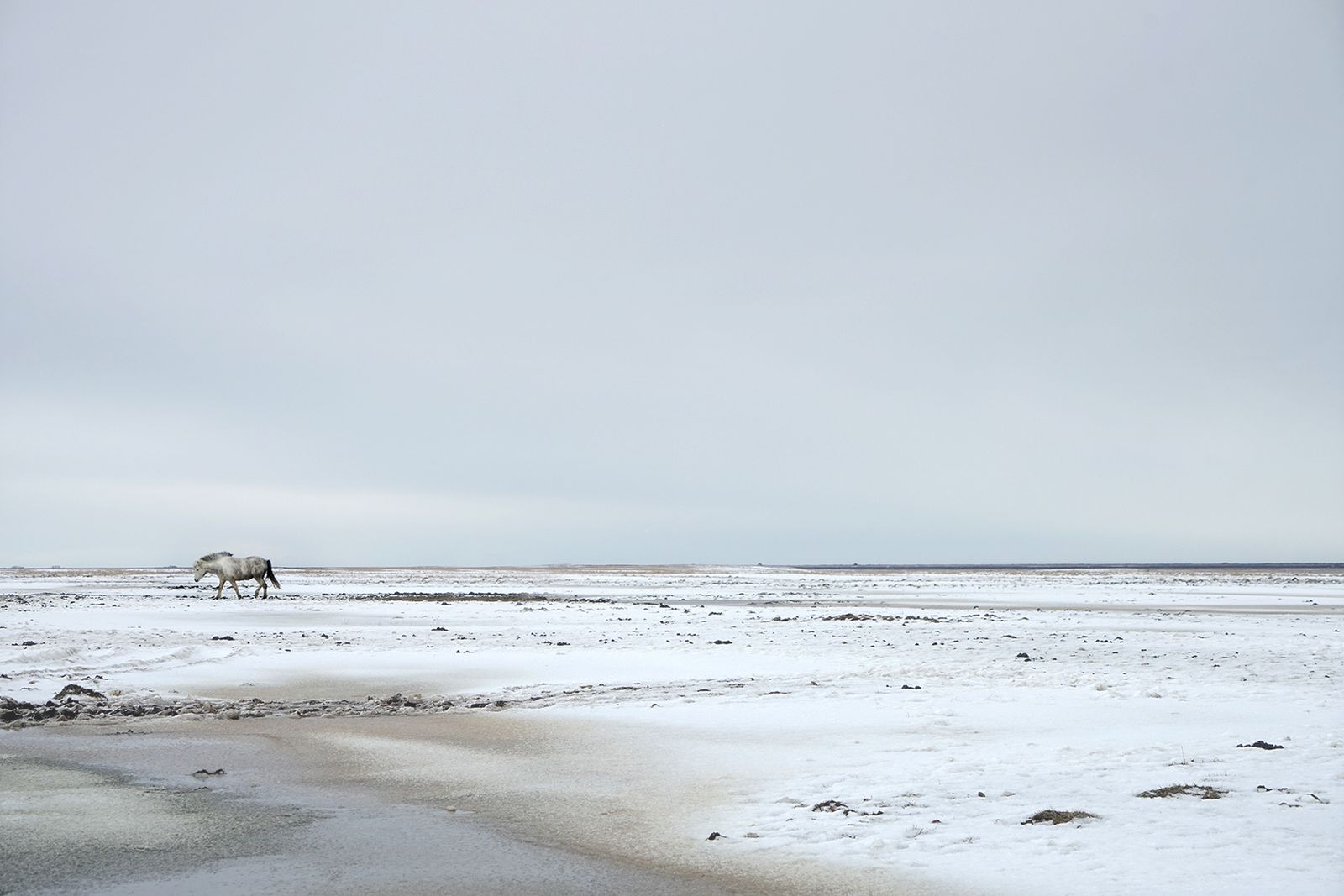 Nowhere diary - PhMuseum