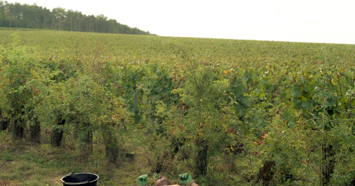 Pulling the Void - PhMuseum