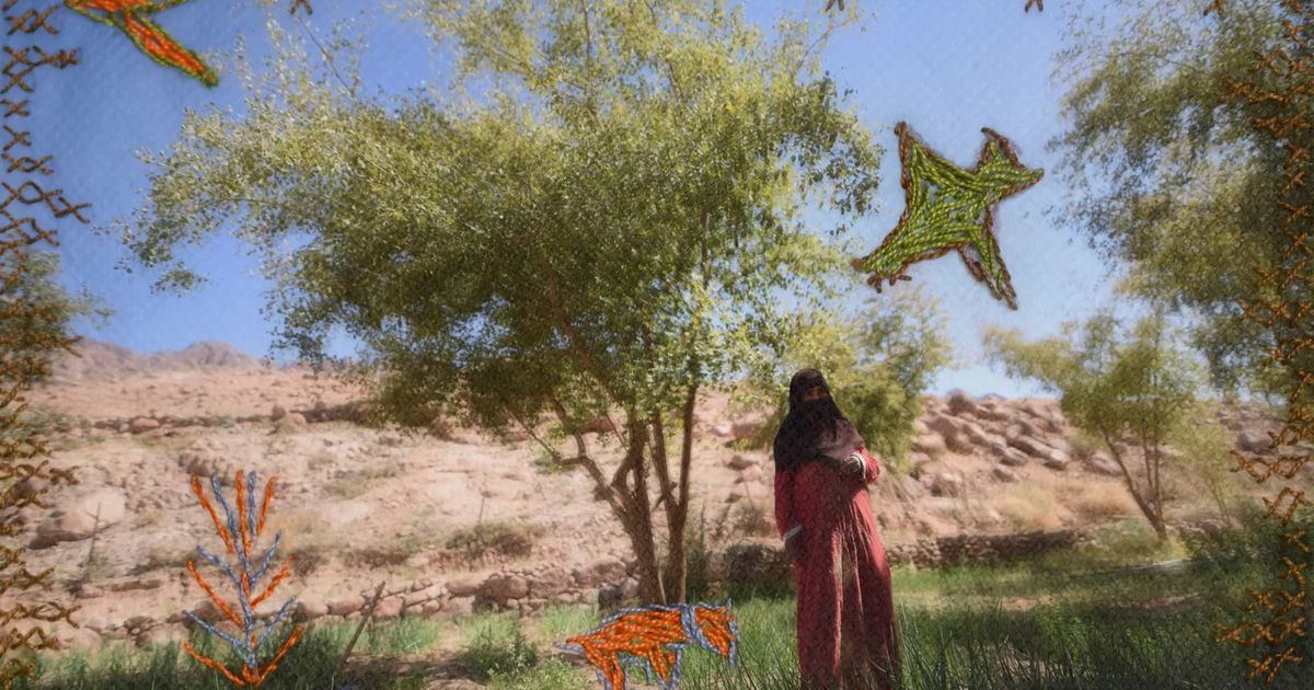 The Longing Of The Stranger Whose Path Has Been Broken - PhMuseum