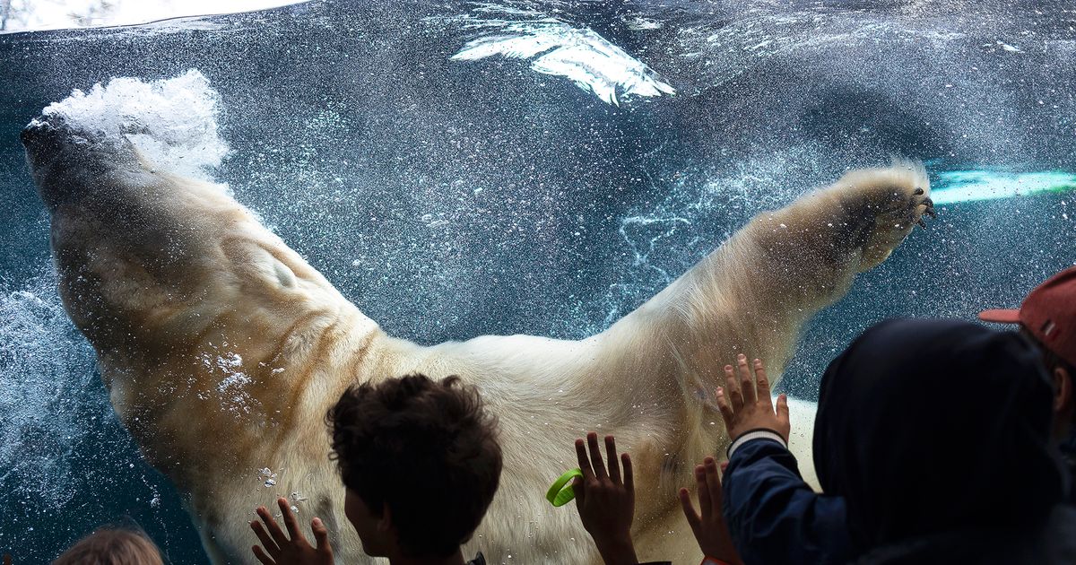 humanature - PhMuseum