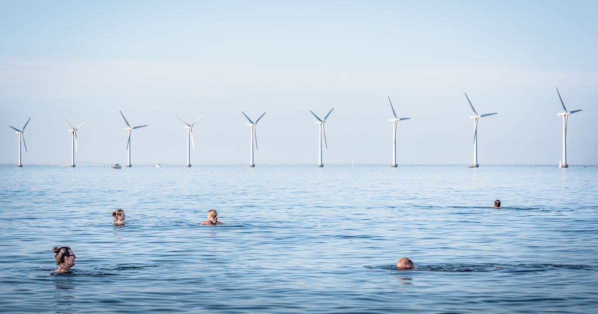 NET-ZERO TRANSITION - PhMuseum