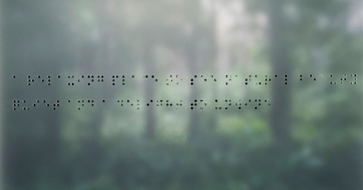 Fieldwork and Other Landscape Stories - PhMuseum