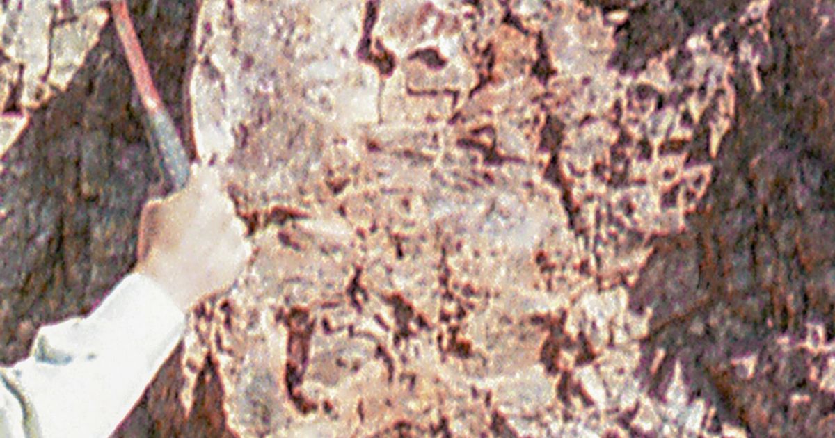 A Secret Shines Metal - PhMuseum