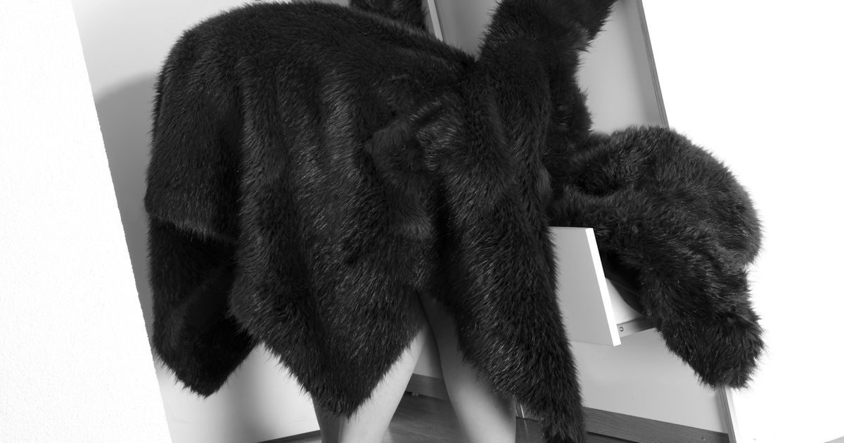 Hiding and seeking - PhMuseum