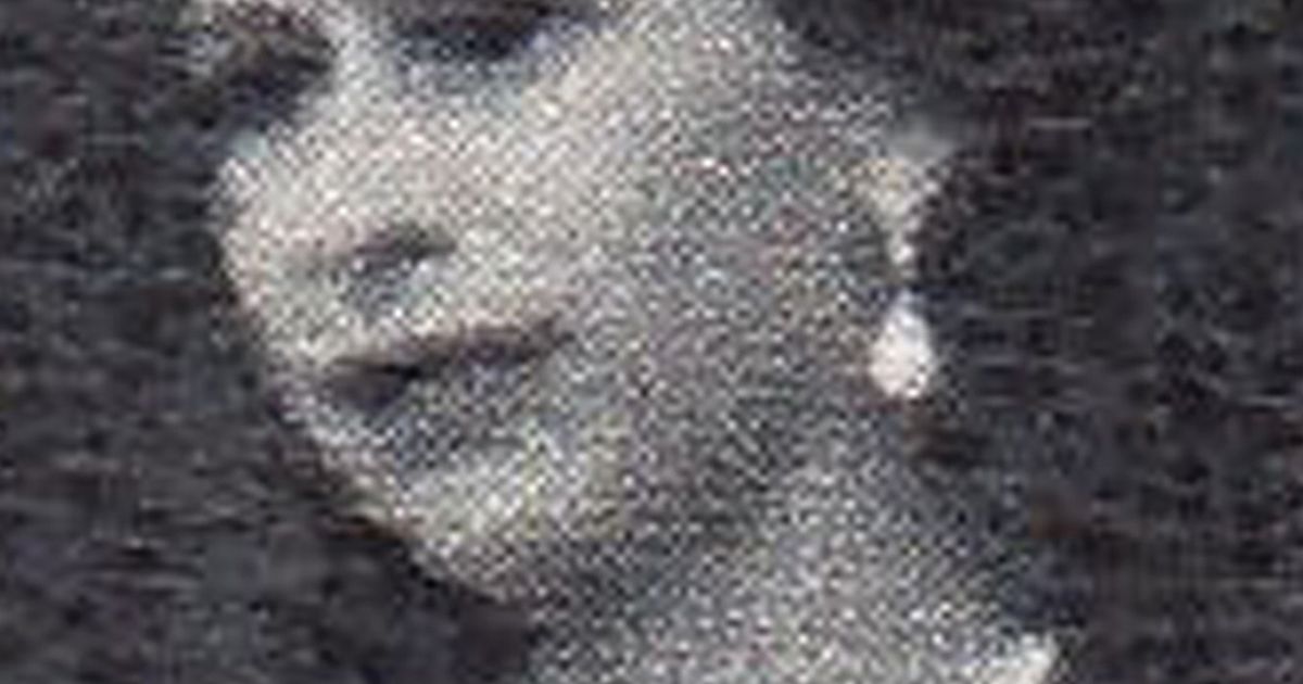 The Crimson Thread - PhMuseum