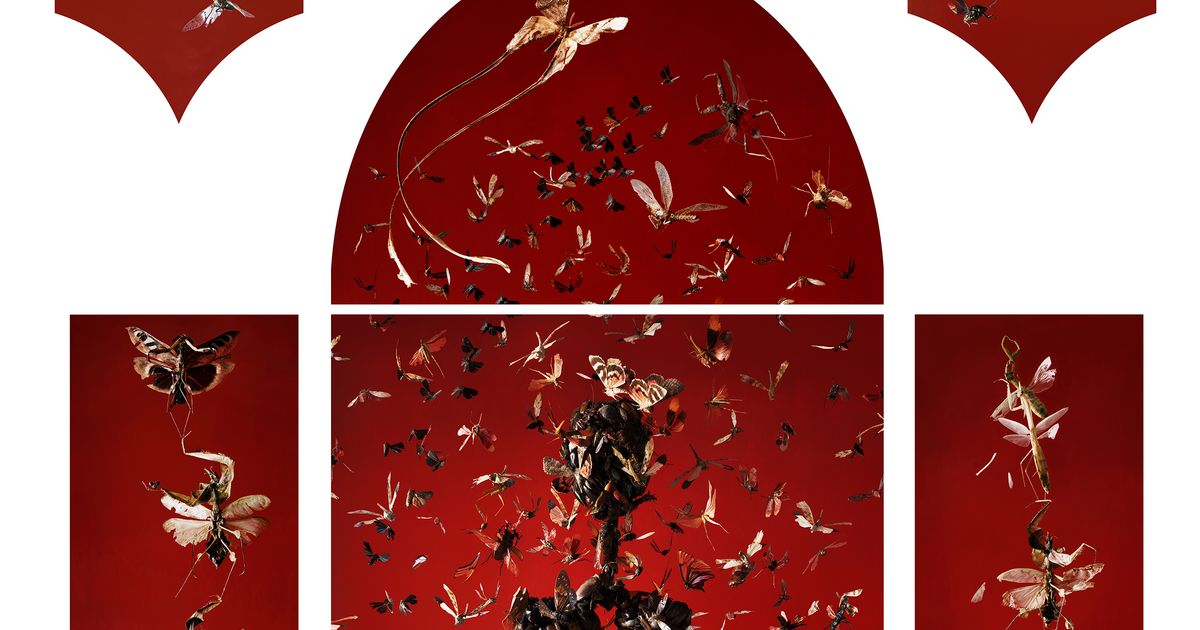 Infernalis - PhMuseum